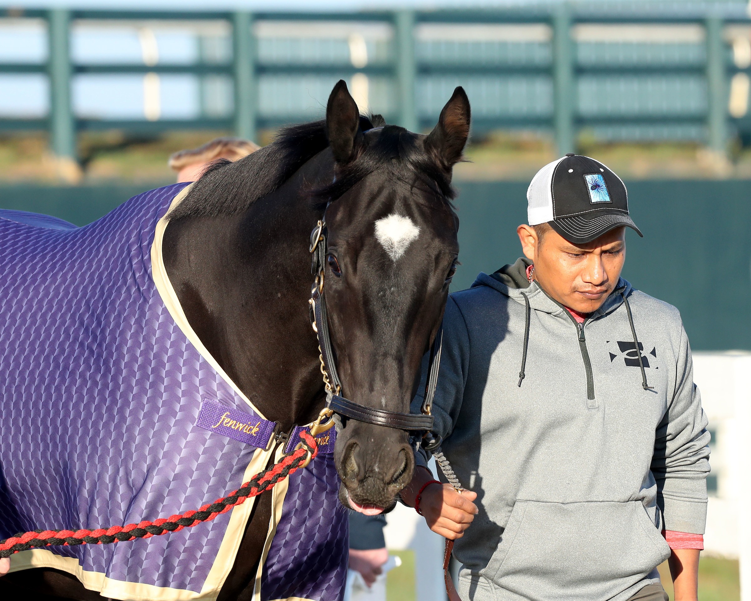 Tyler’s Tribe Looks To Get Back to Business in $150K Advent - Past The Wire