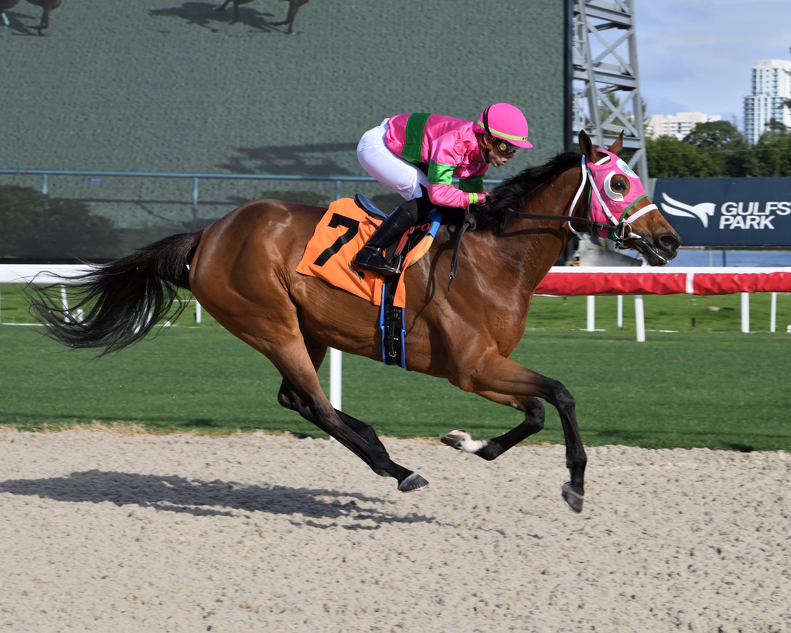 Viburnum Notches First Stakes in Via Borghese - Past The Wire