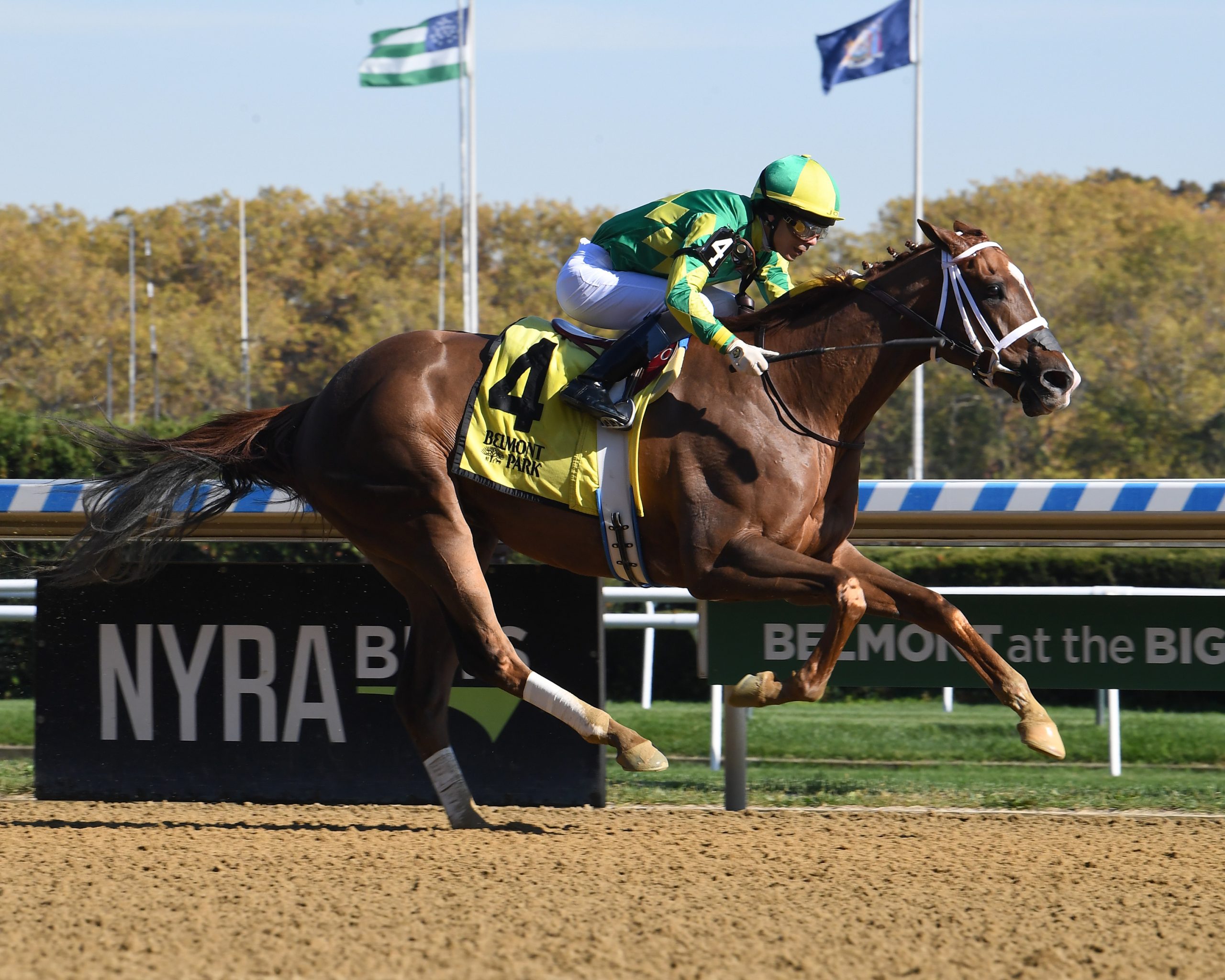 Dr. Blute Aims to Wrap Up Year by Doubling up on Stakes Scores - Past ...