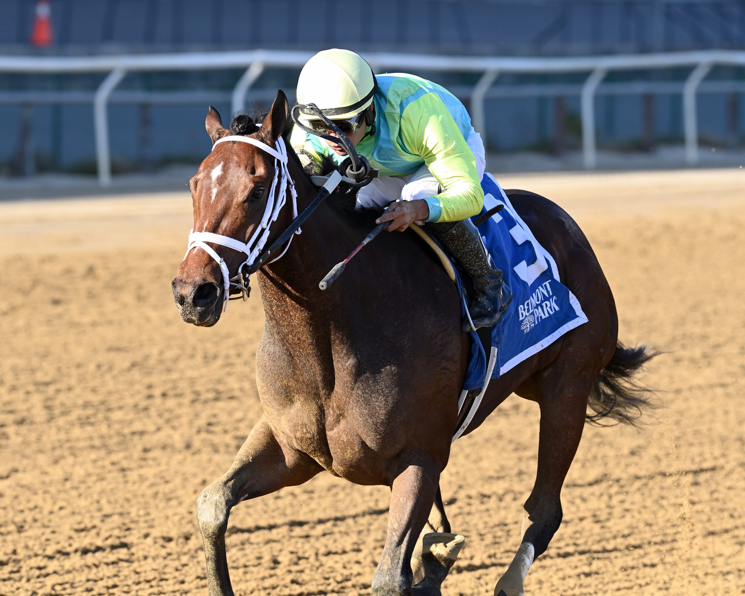 New York-sired Juvenile Fillies Chase Big Bucks in $500K NYSSS Fifth ...
