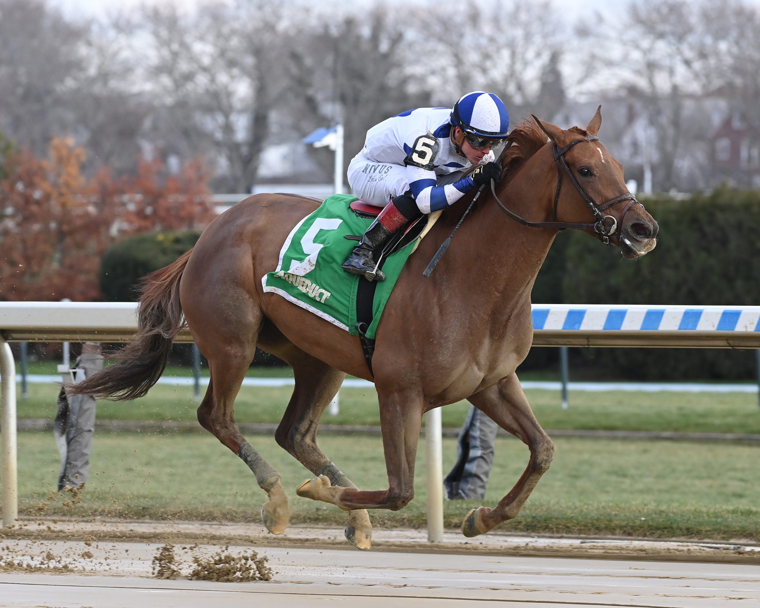 Venti Valentine Redeeming Victory in Bay Ridge - Past The Wire