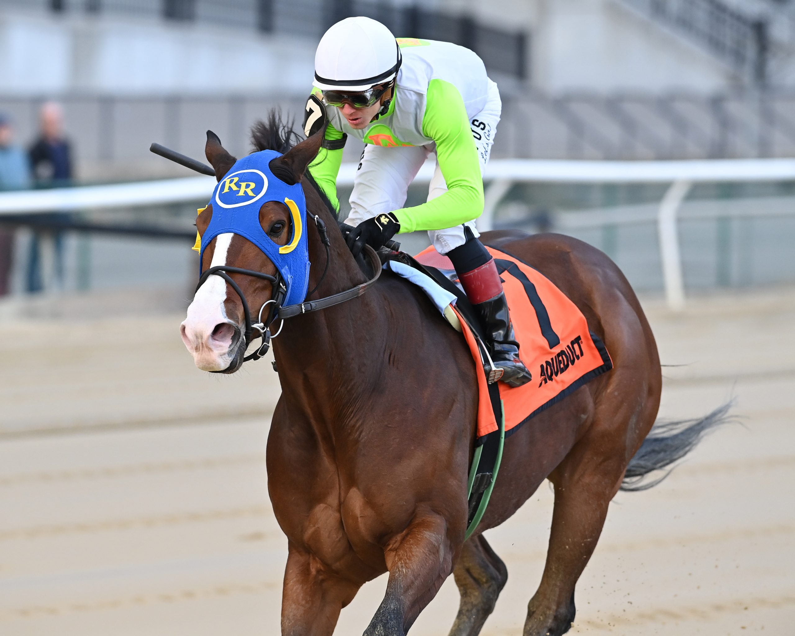 Wudda U Think Now Reigns Supreme in $100K Alex M. Robb - Past The Wire