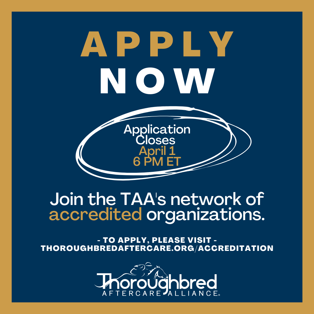 2023 TAA Accreditation Application Now Available - Past The Wire