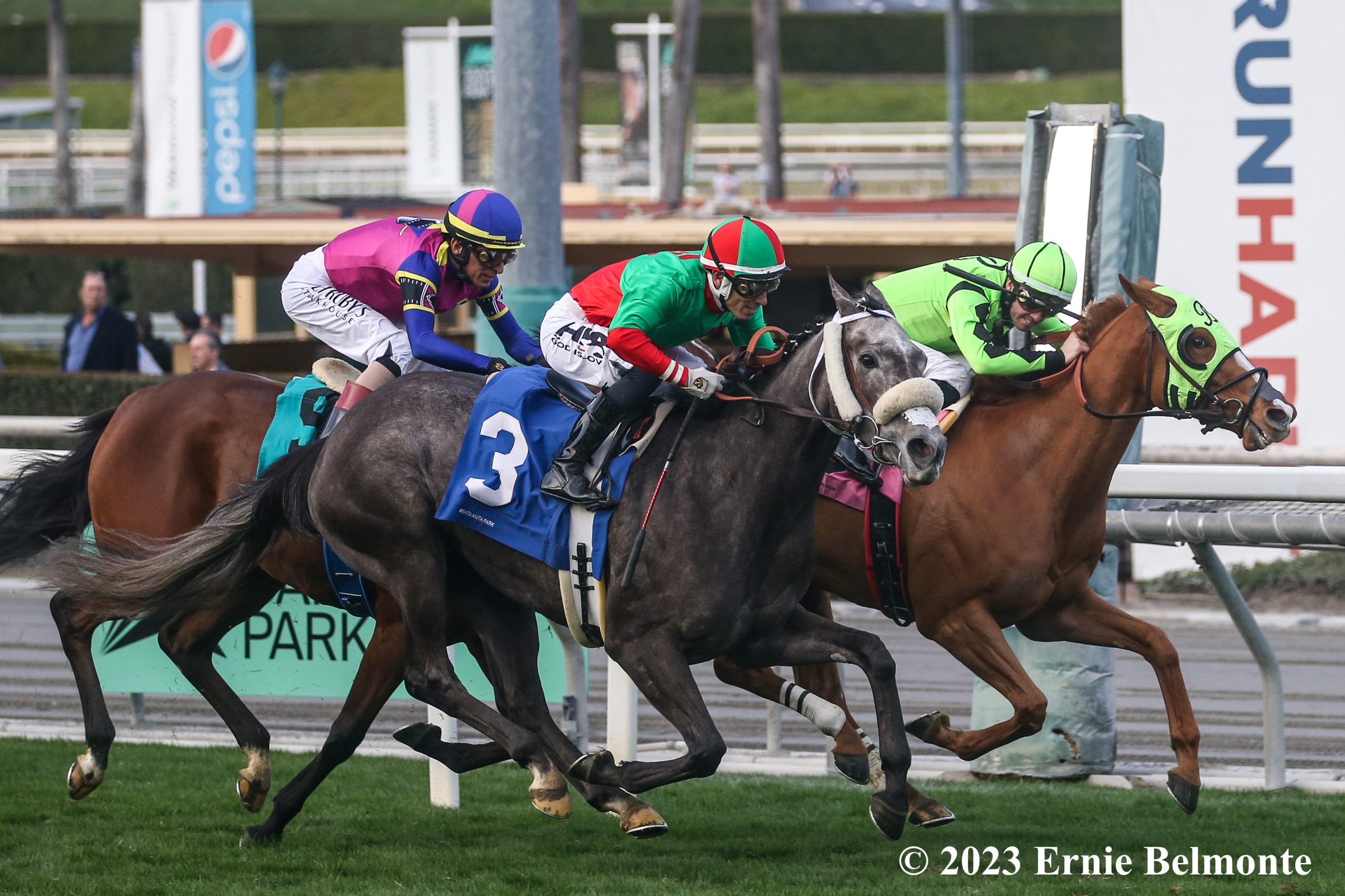 Grazed My Heart Gets the Nose in Leigh Ann Howard Cal Cup Oaks - Past ...