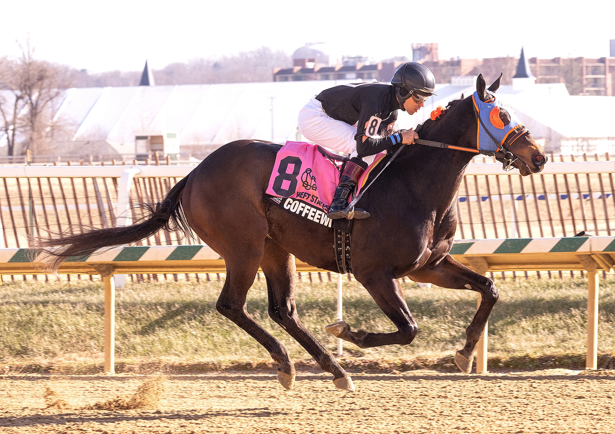 Coffeewithchris Wheels Back in Spectacular Bid - Past The Wire