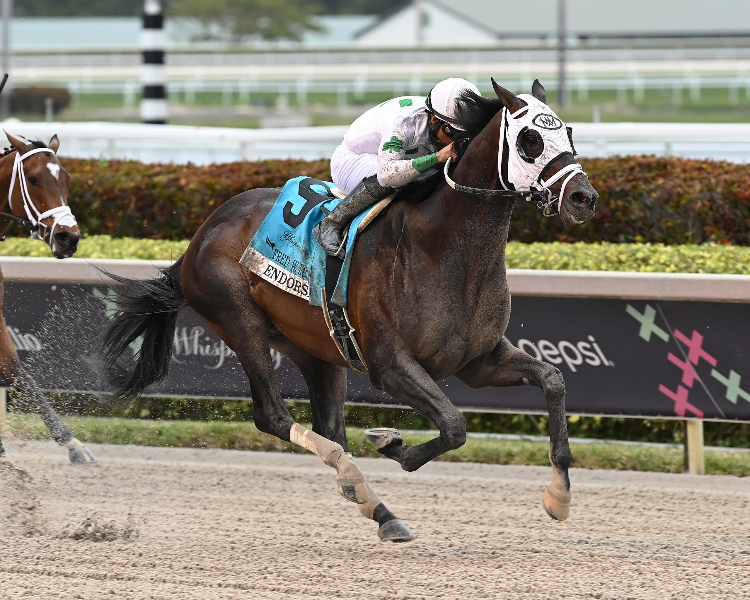 Endorsed Makes High Grades in G3 Fred Hooper - Past The Wire