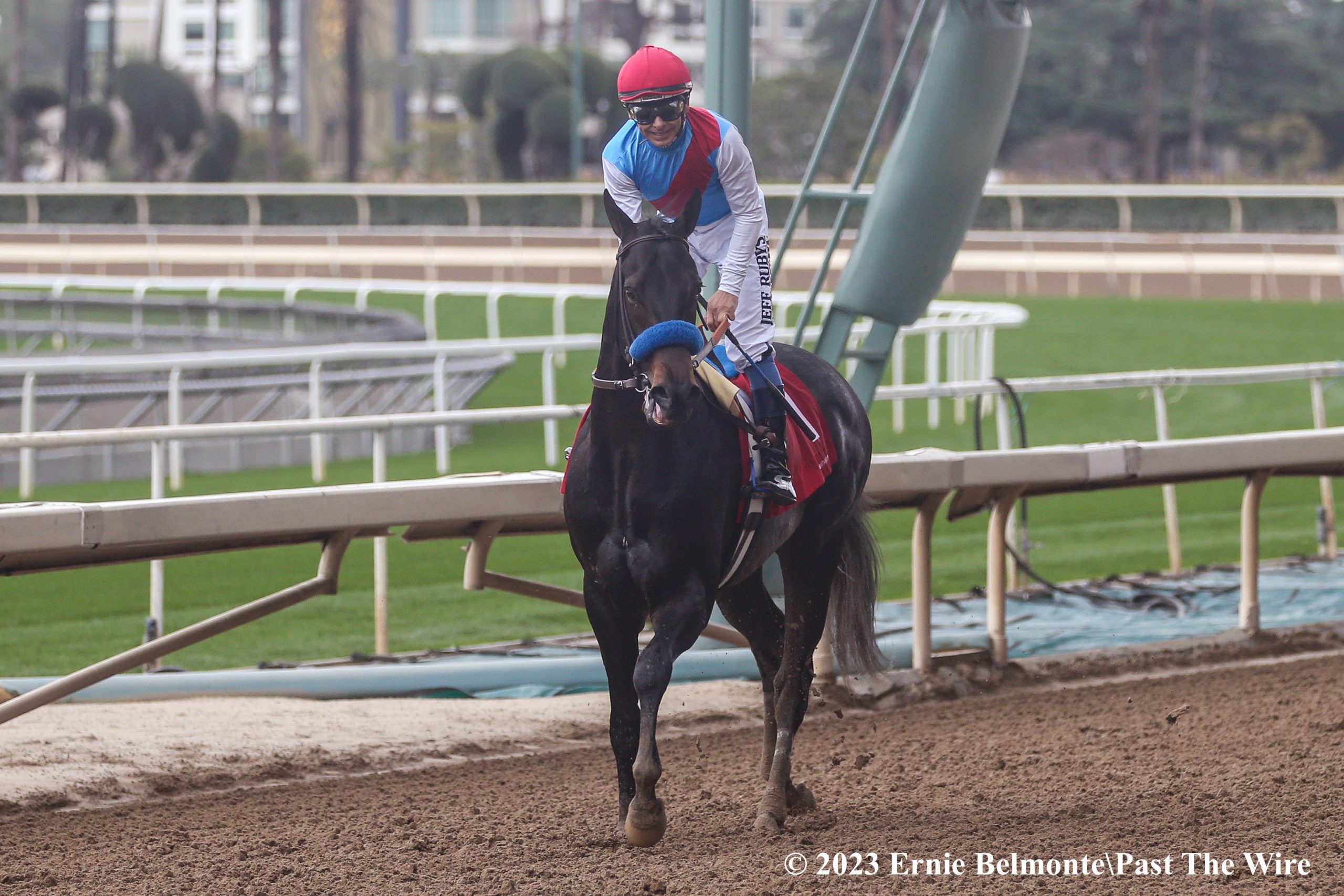 The Best Horse Racing Games To Play in 2023 - Past The Wire