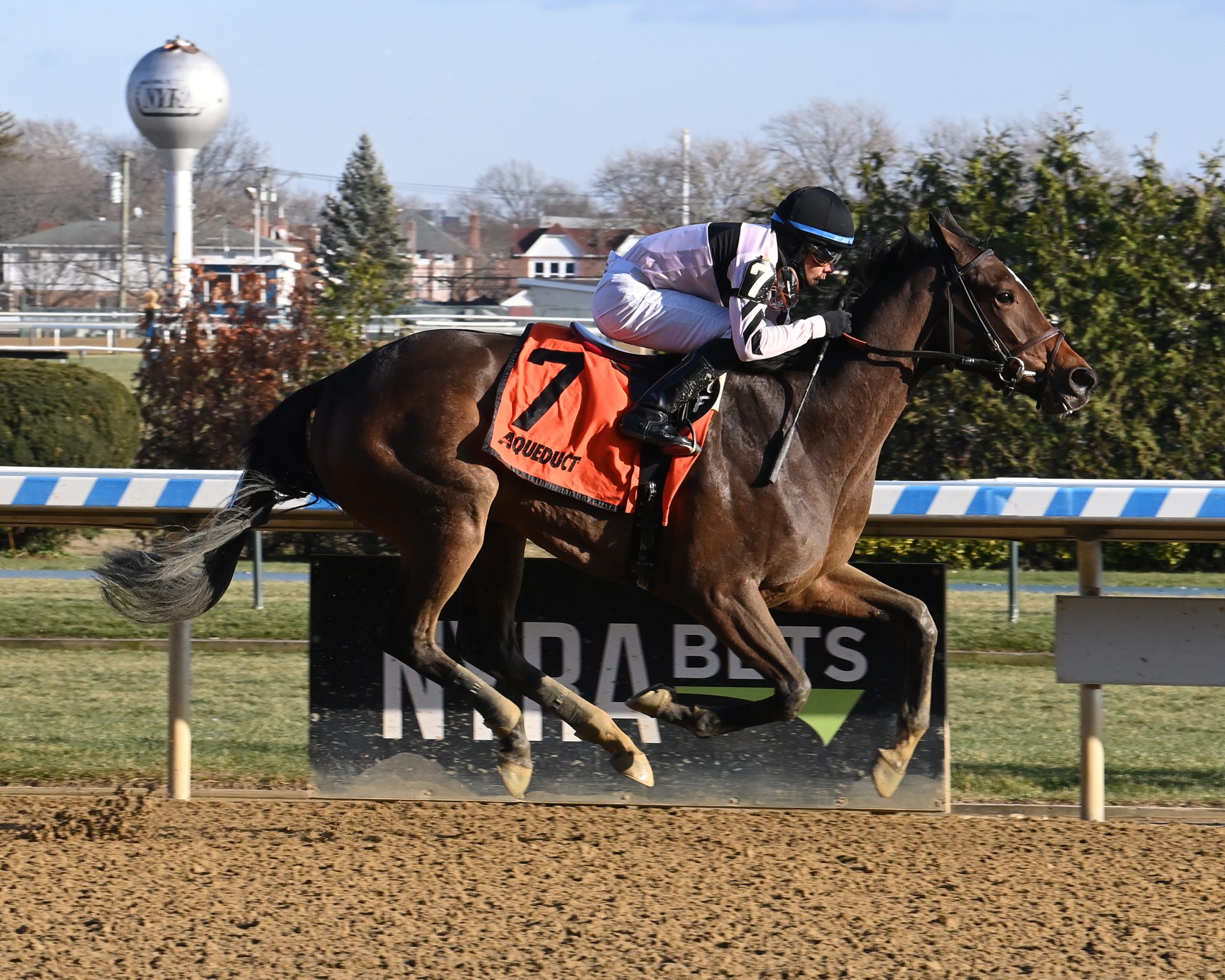 Occult Looks To Wreak Havoc on Oaks Trail in $100K Busanda - Past The Wire