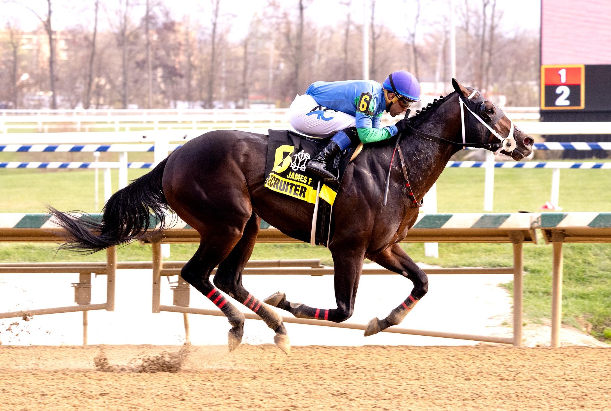 Undefeated Post Time, Recruiter Top Spectacular Bid Noms - Past The Wire