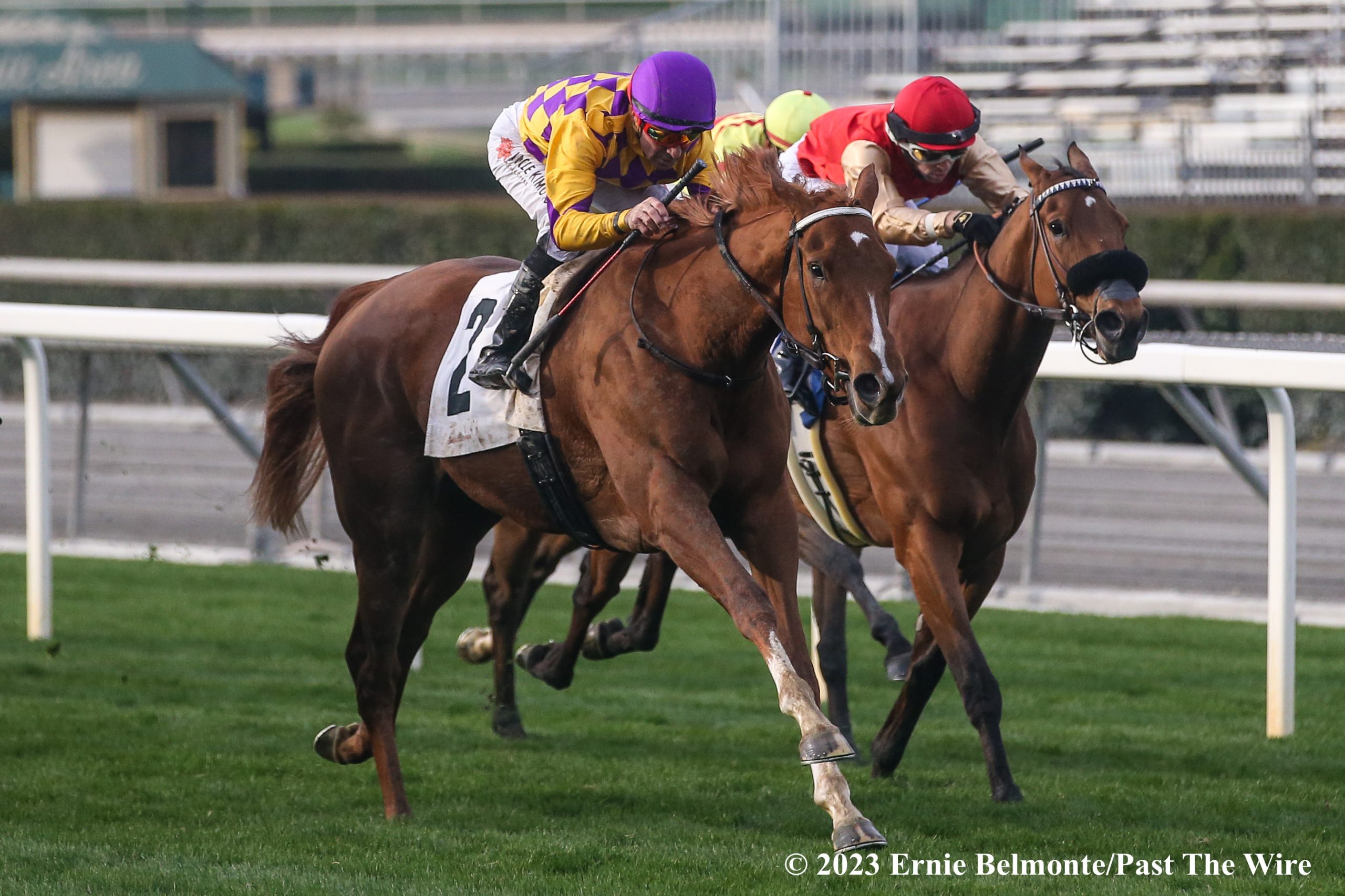 Stella Noir returns to form with Desormeaux up to win $75K Allowance ...