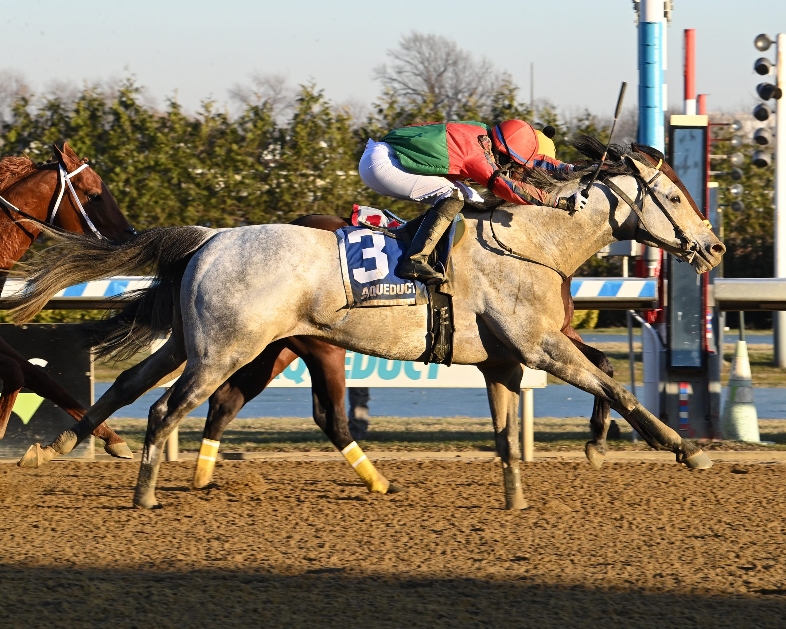 Drafted Dashes in G3 Tom Fool Handicap - Past The Wire