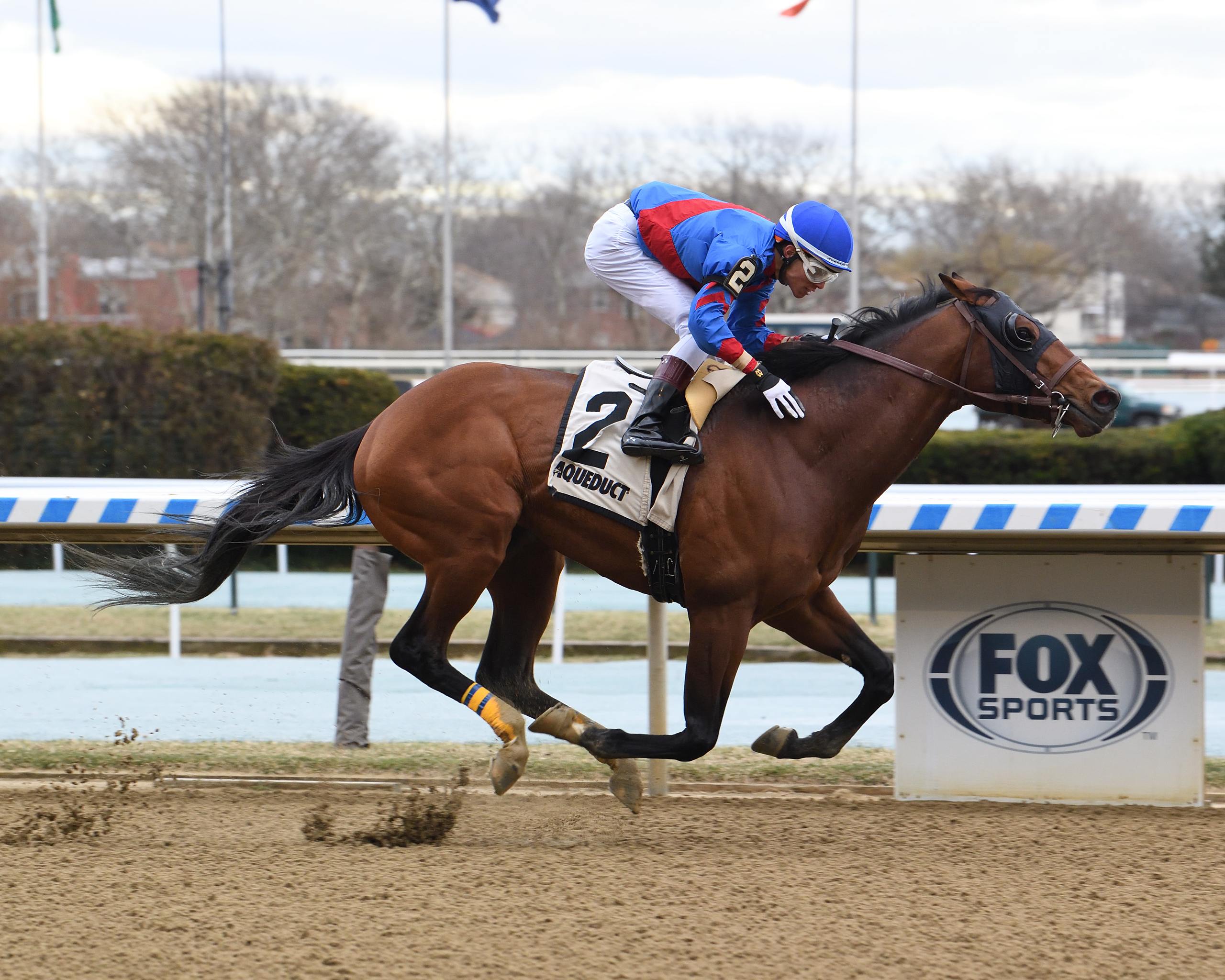 Water’s Edge Back to Work for Donk; Shinfull Victorious in 4YO Debut ...