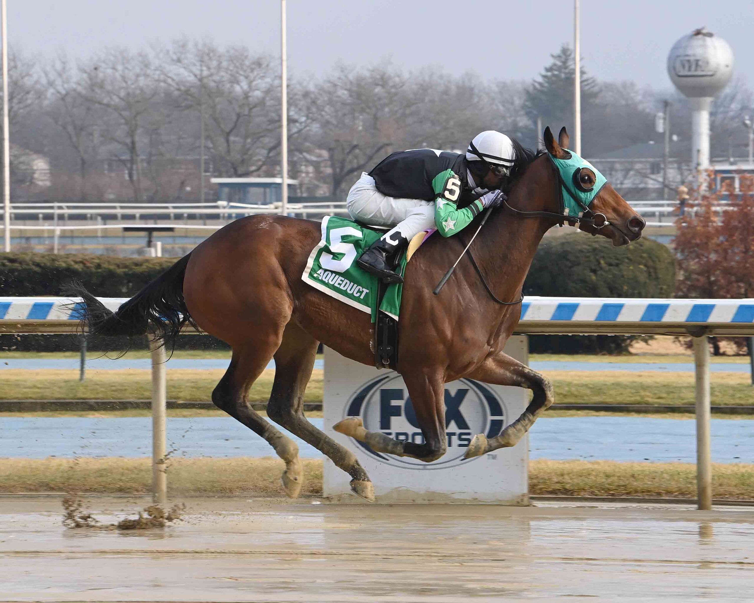 Luna Loca Set for Stakes Debut in $100K Maddie May - Past The Wire