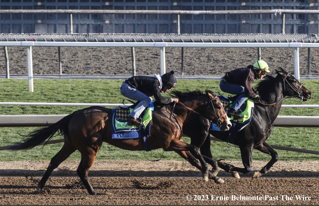 A Brief Scope About The Louisiana Derby: What To Look For - Past The Wire
