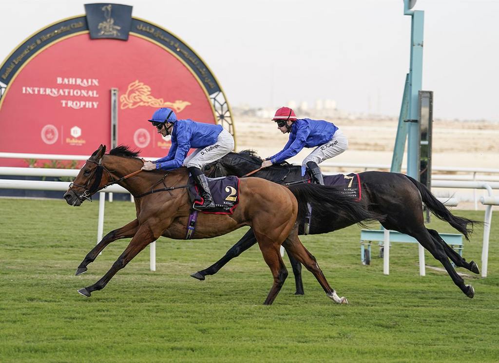 Saudi Cup Undercard: Neom Turf Cup (G3) - Past The Wire