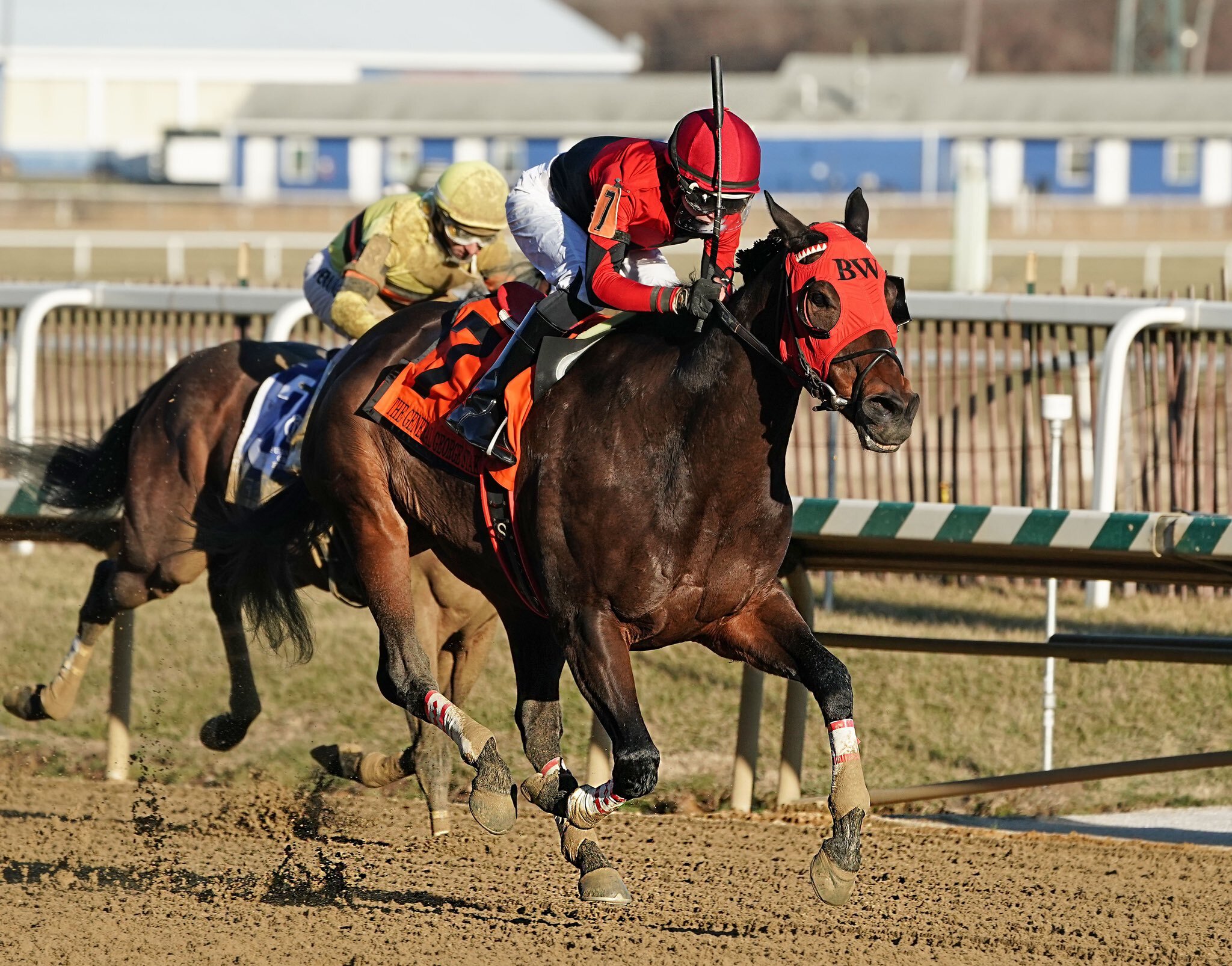 Eastern Bay Emotional Winner of G3 General George - Past The Wire