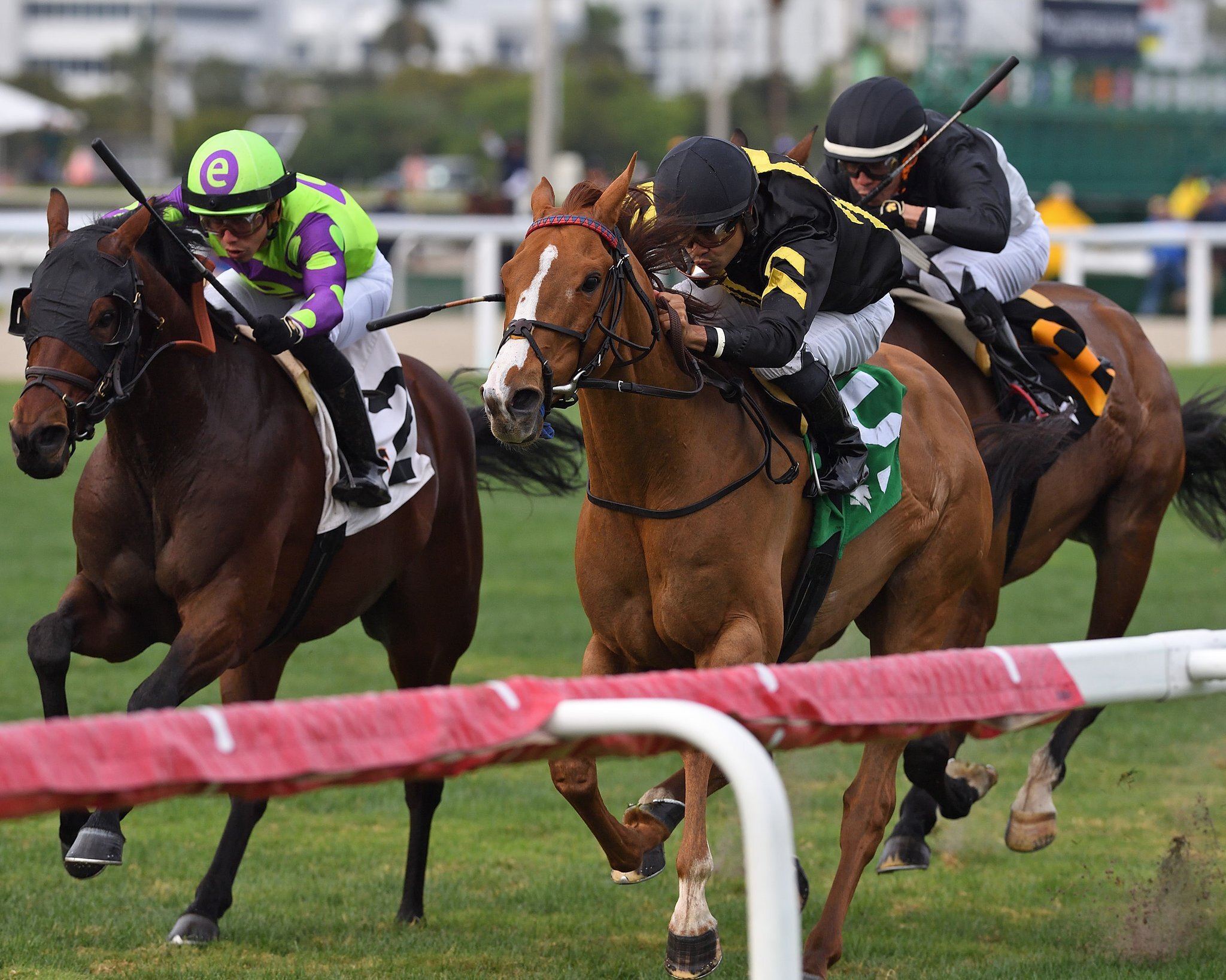English Bee Back for Another Try in G3 Canadian Turf - Past The Wire