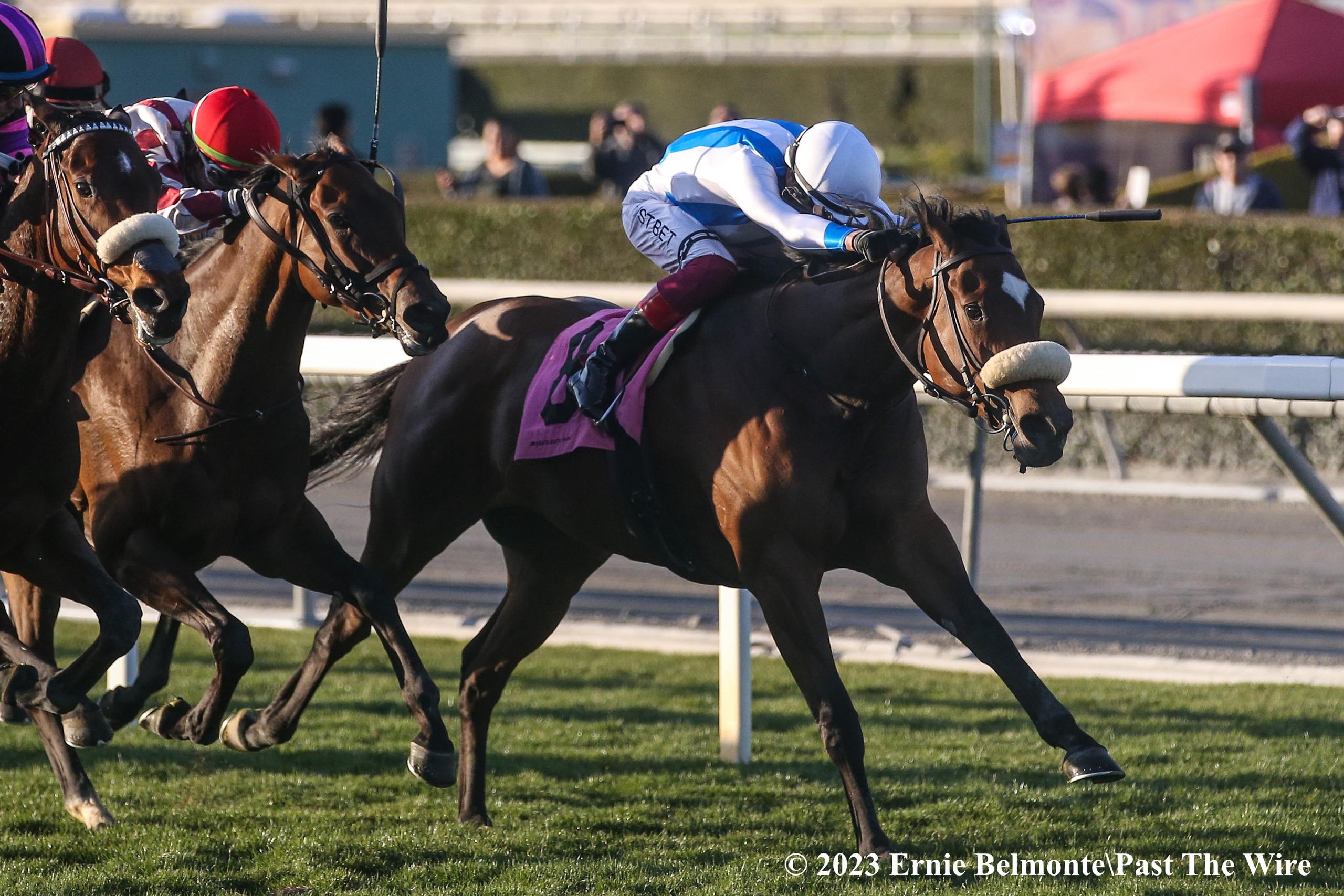 Freedom Flyer Jets to Victory in Wishing Well - Past The Wire