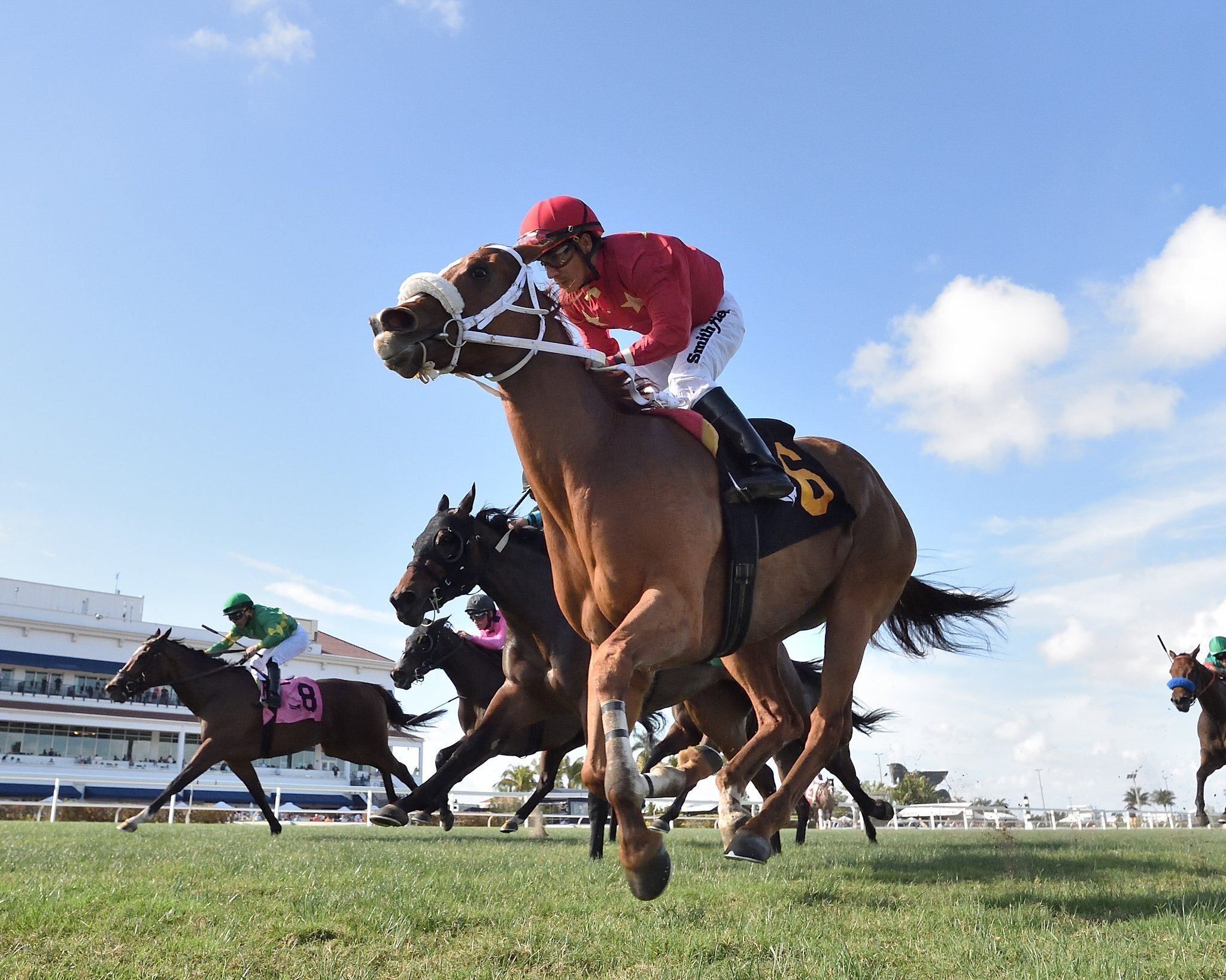 One Identity Secures First Stakes Victory in $100K Ladies’ Turf Sprint ...