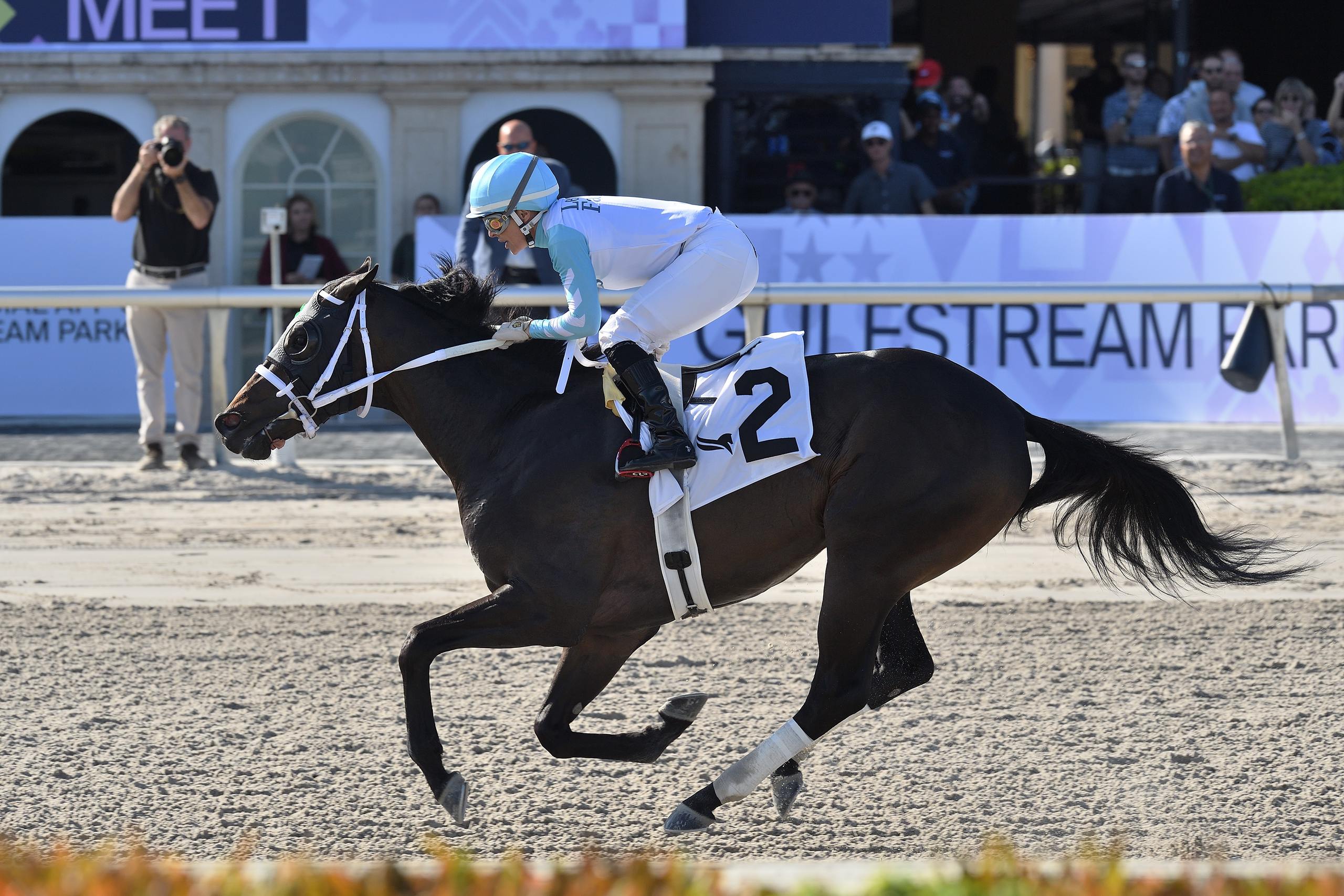 Super Chow in ‘Best Shape Ever’ for Saturday’s G3 Swale - Past The Wire