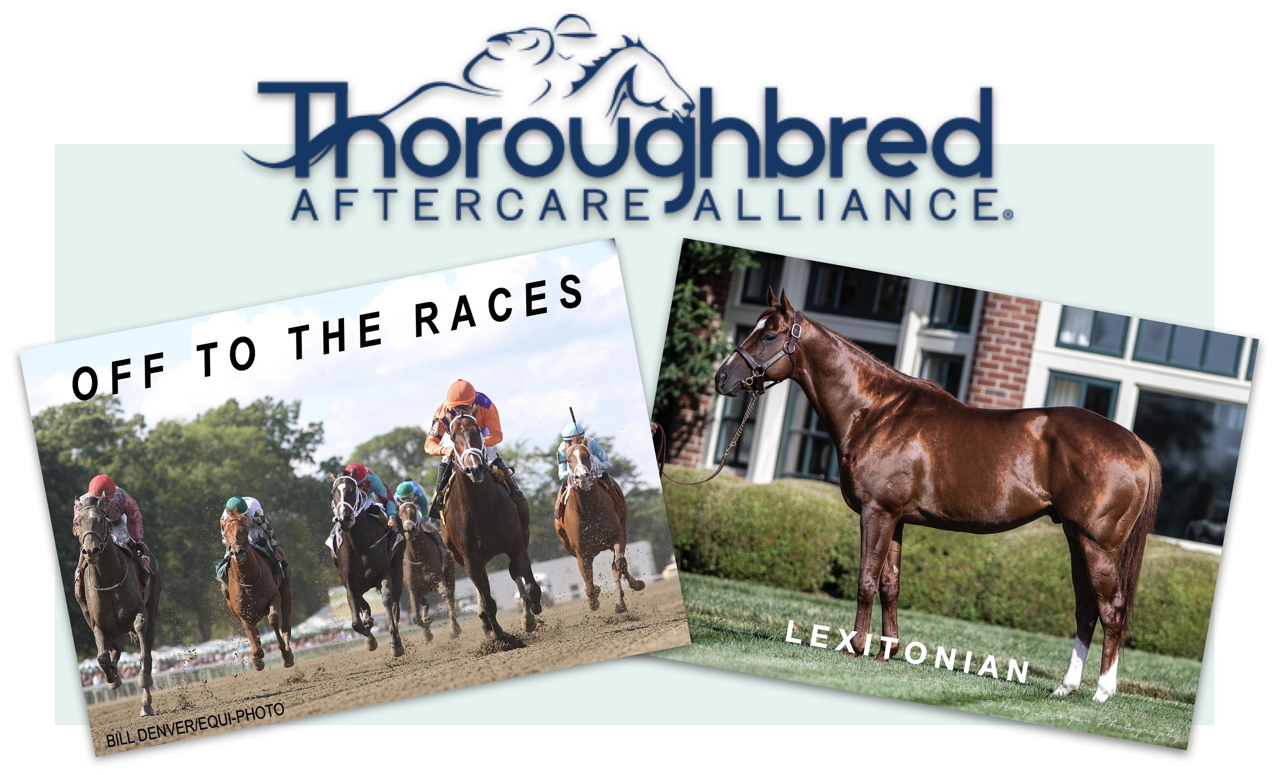 TAA’s Auctions’ Success Attributed to Sponsors - Past The Wire