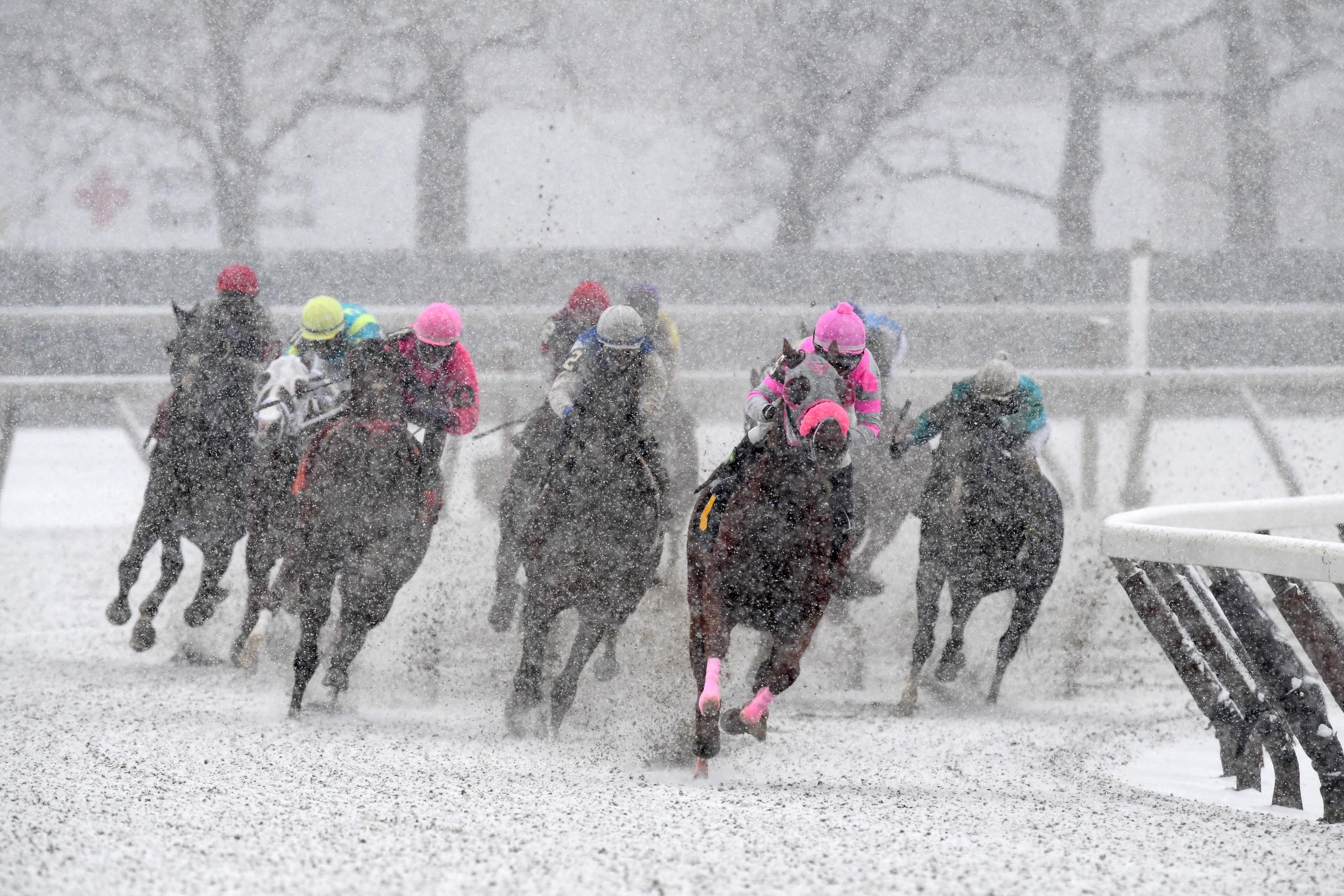 Aqueduct Stakes Schedule For The 2024 Winter Meet - Past The Wire