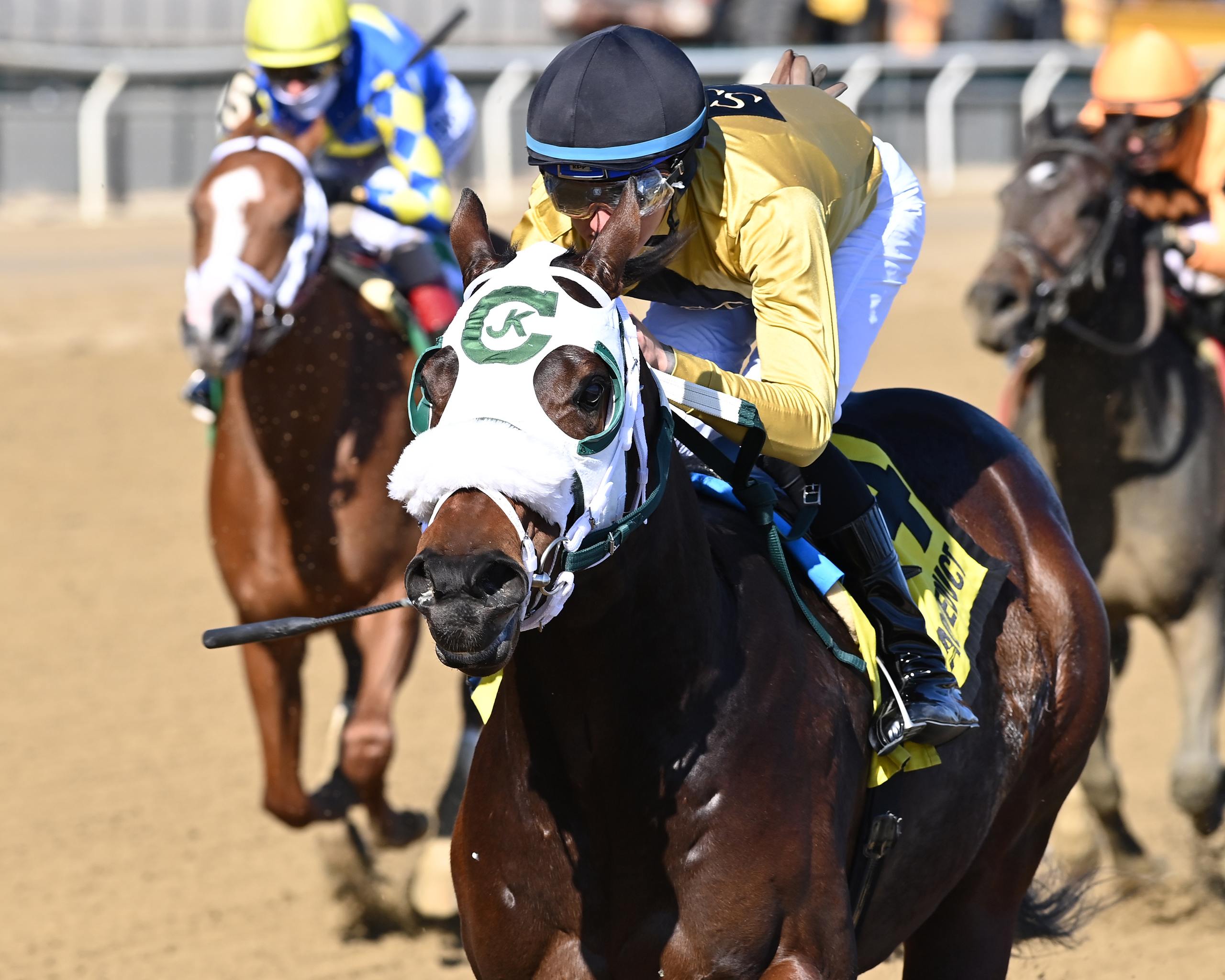 Drew’s Gold Points to G3 Bay Shore After $100K Jimmy Winkfield Win ...