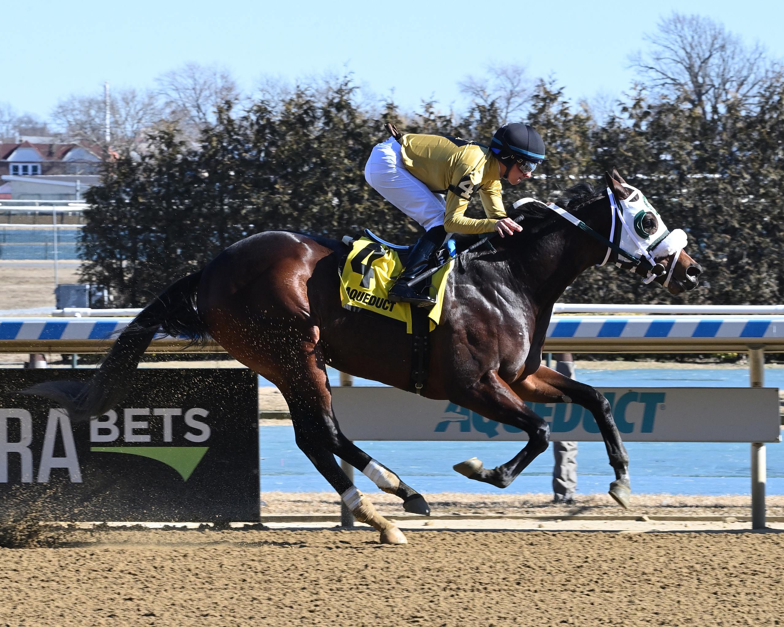 Drew’s Gold stays 24 kt. in $100K Jimmy Winkfield - Past The Wire