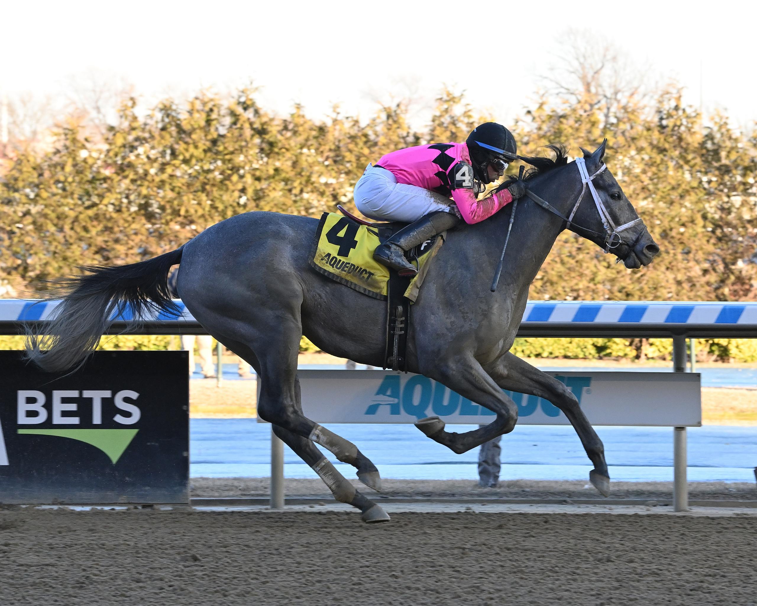 Hit Show Seeks Encore in G2 Wood Memorial - Past The Wire