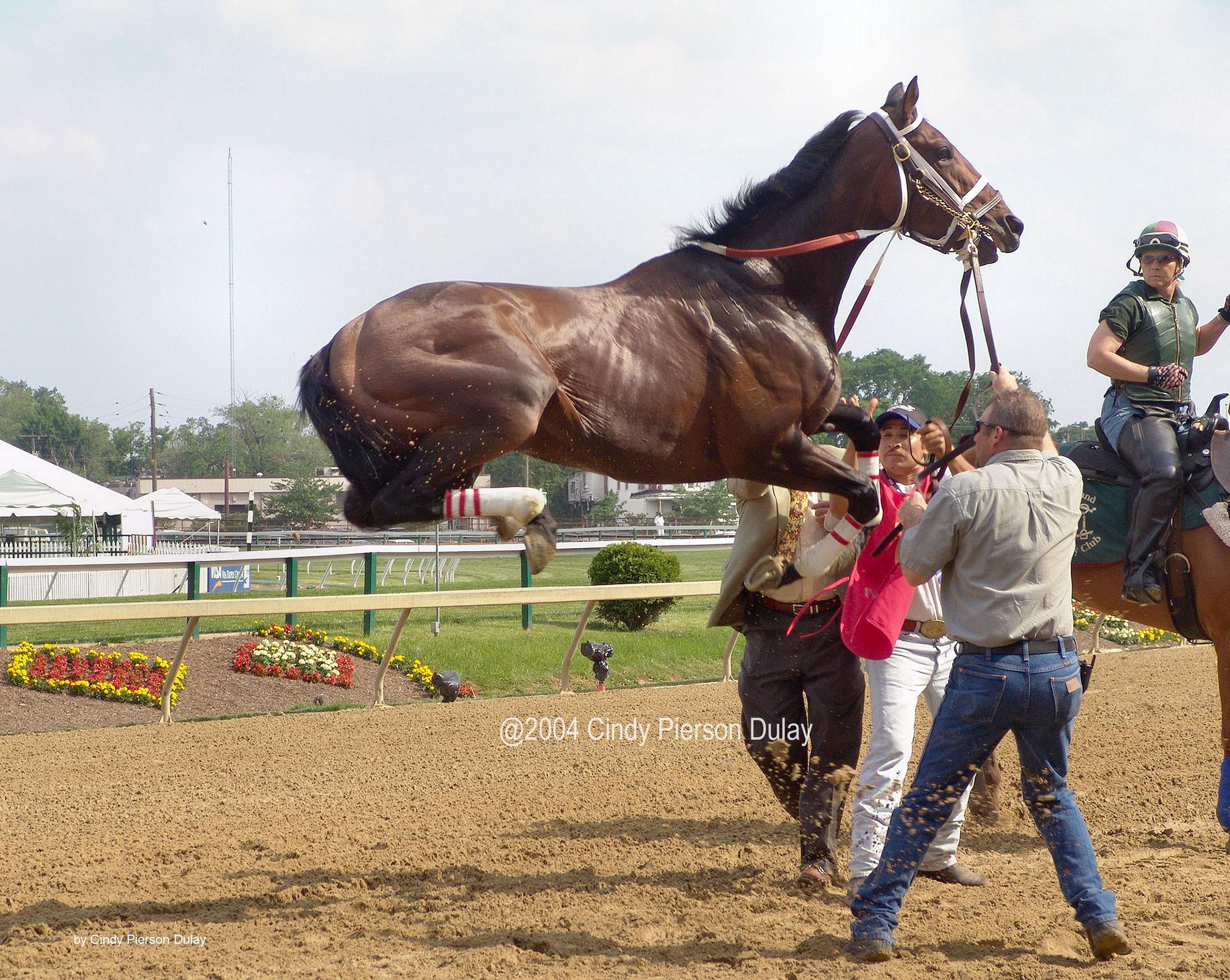 She Flew Like An Angel - Past The Wire