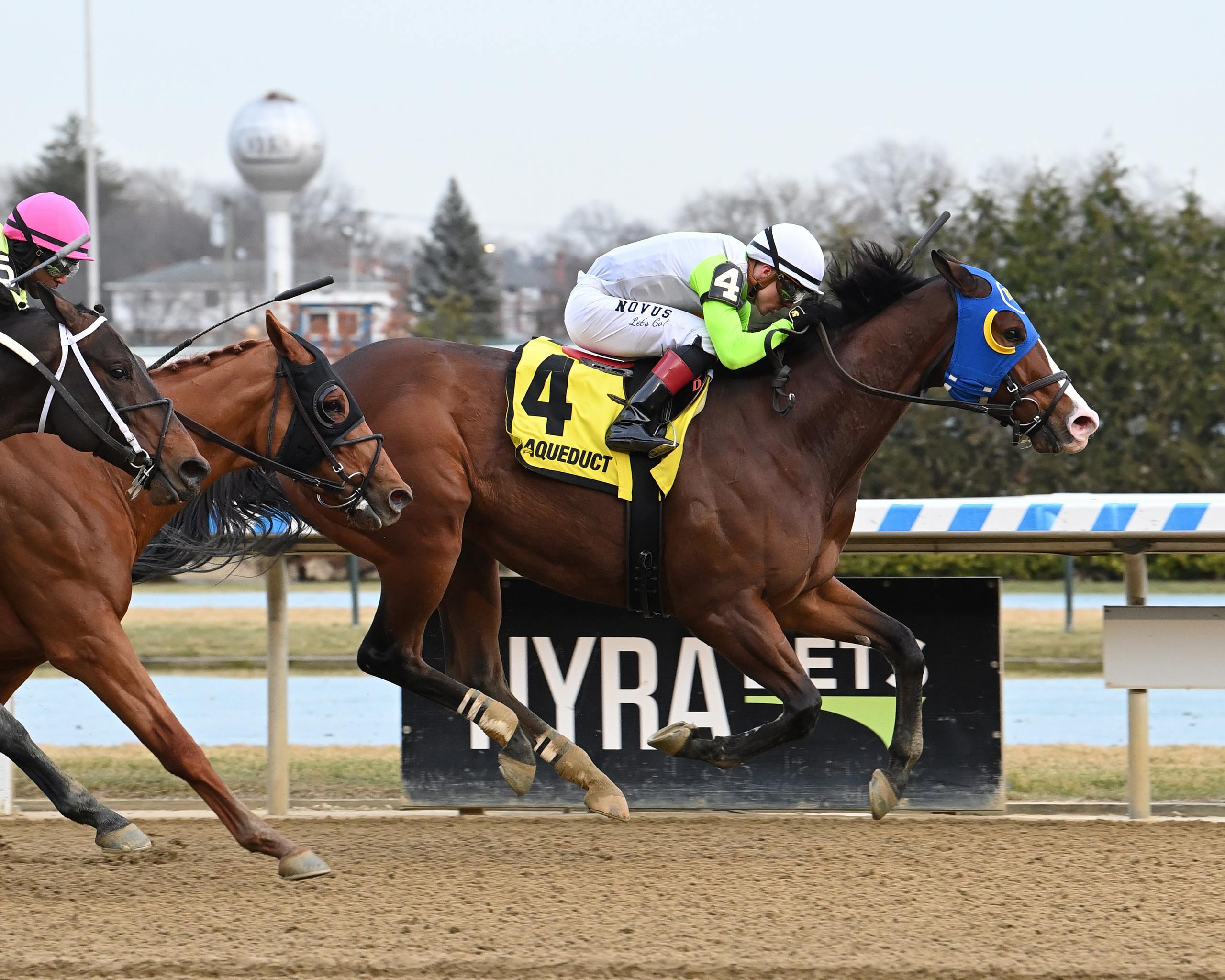Wudda U Think Now Vies for Consecutive Stakes in Haynesfield - Past The ...