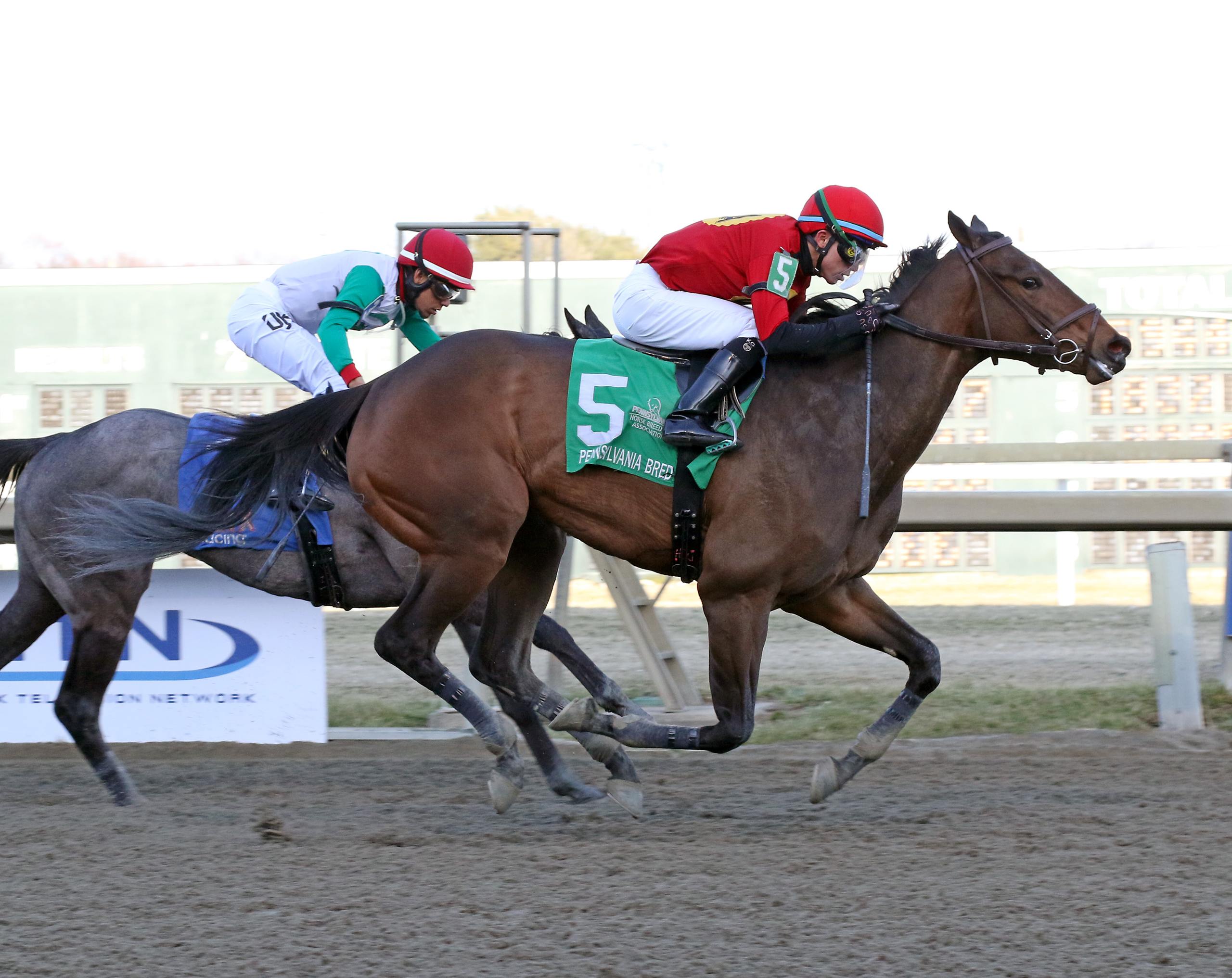 Tappin Josie Seeks Return To Form in $100K Weather Vane - Past The Wire