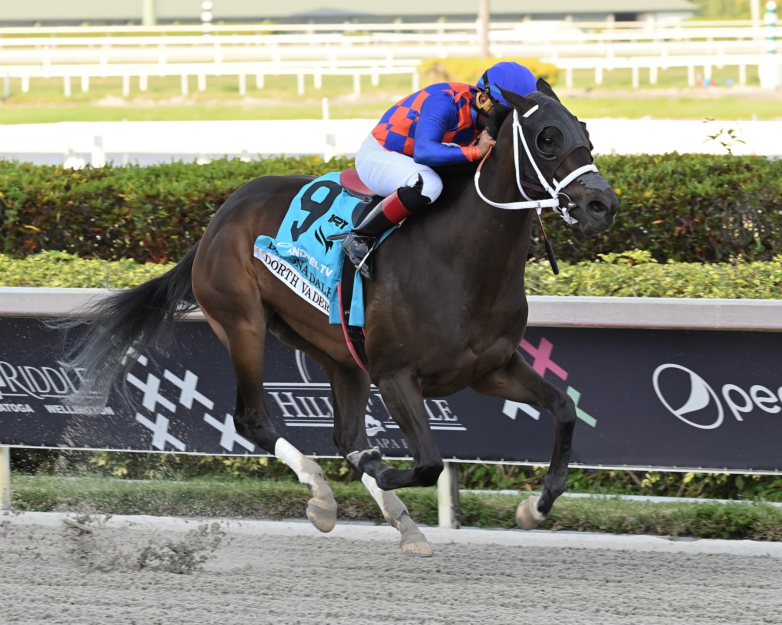 Dorth Vader Looms Large in G2 Gulfstream Park Oaks - Past The Wire