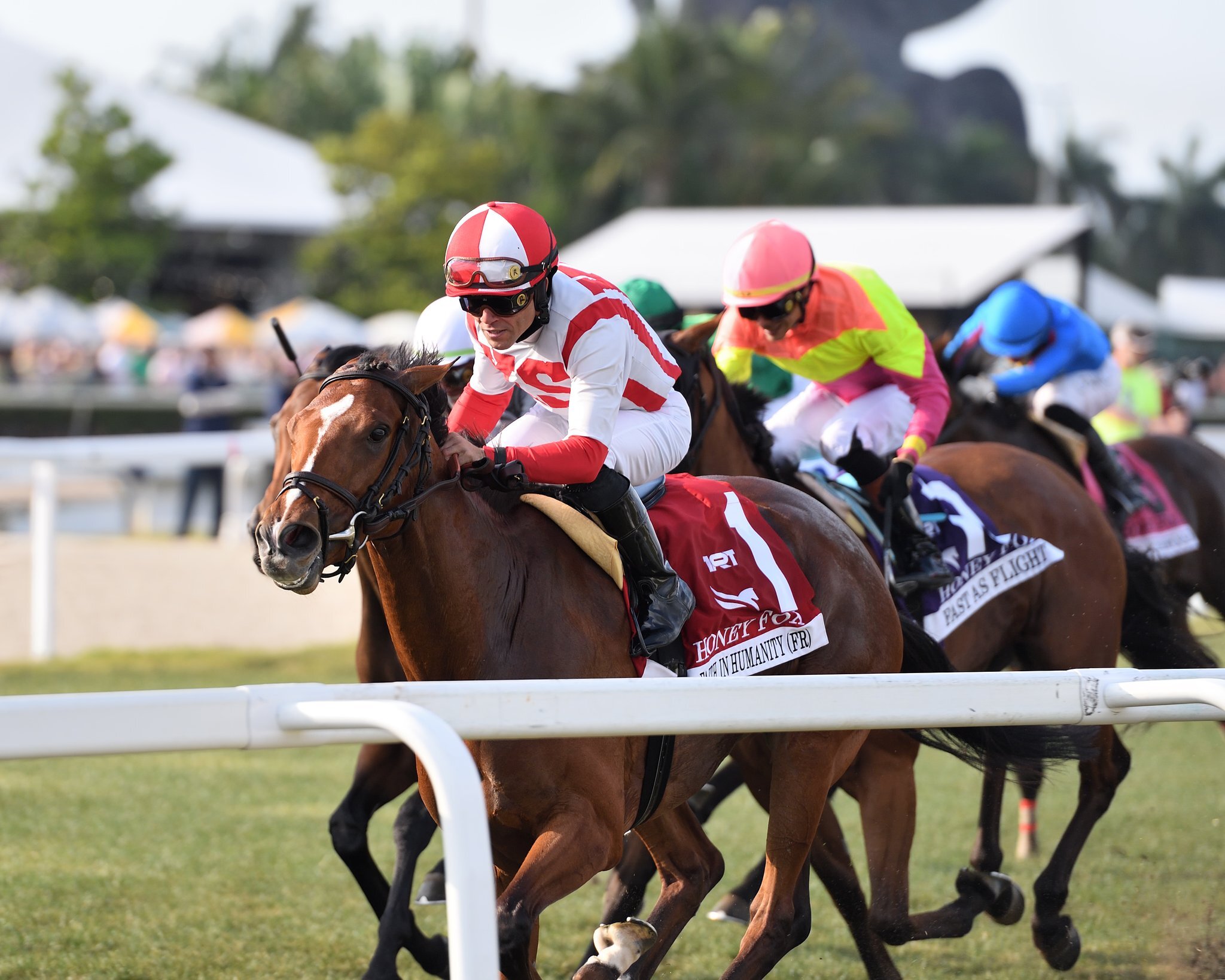 Faith in Humanity Wires G3 Honey Fox - Past The Wire