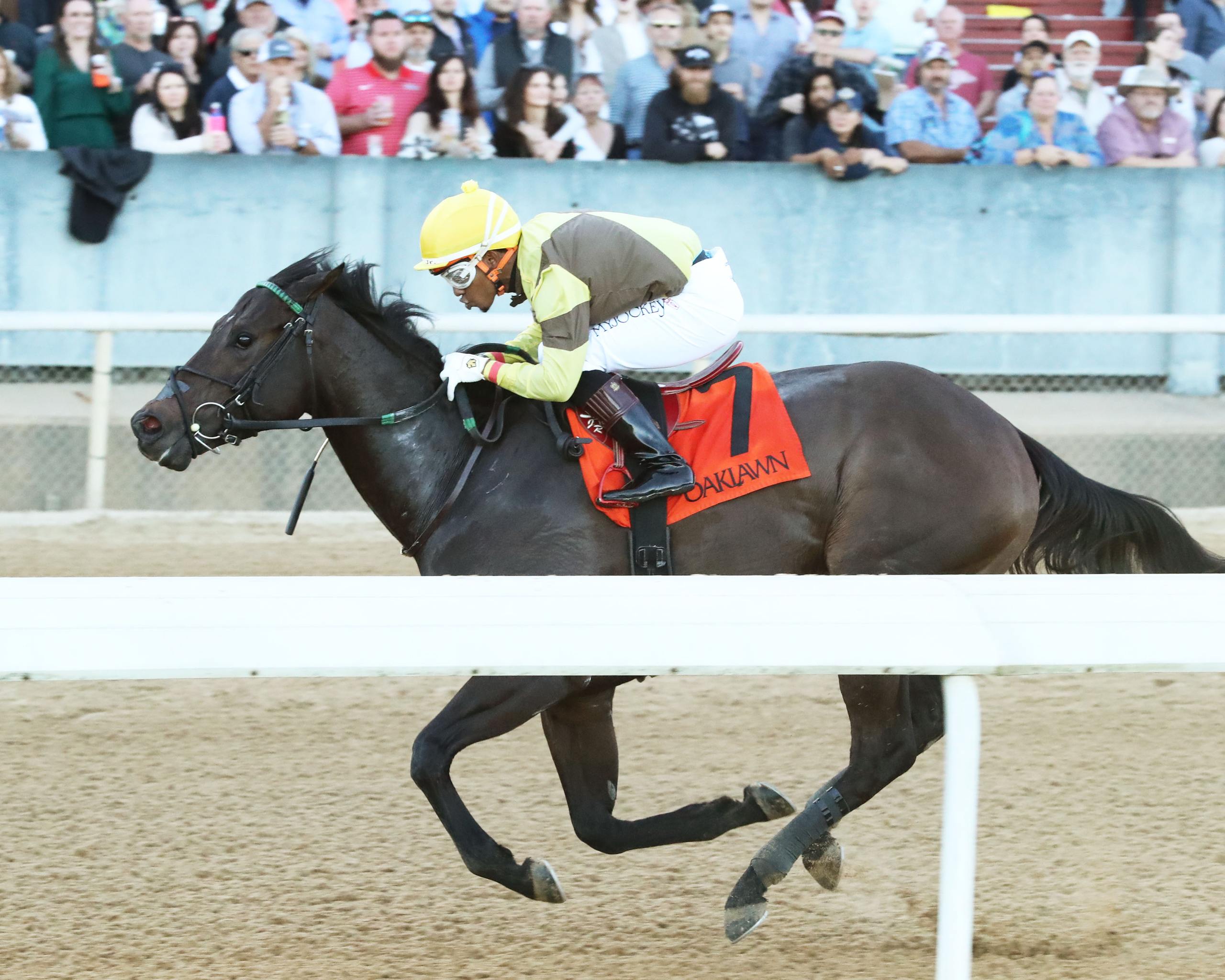 Arkansas-bred Gar Hole: Show Him the Money - Past The Wire