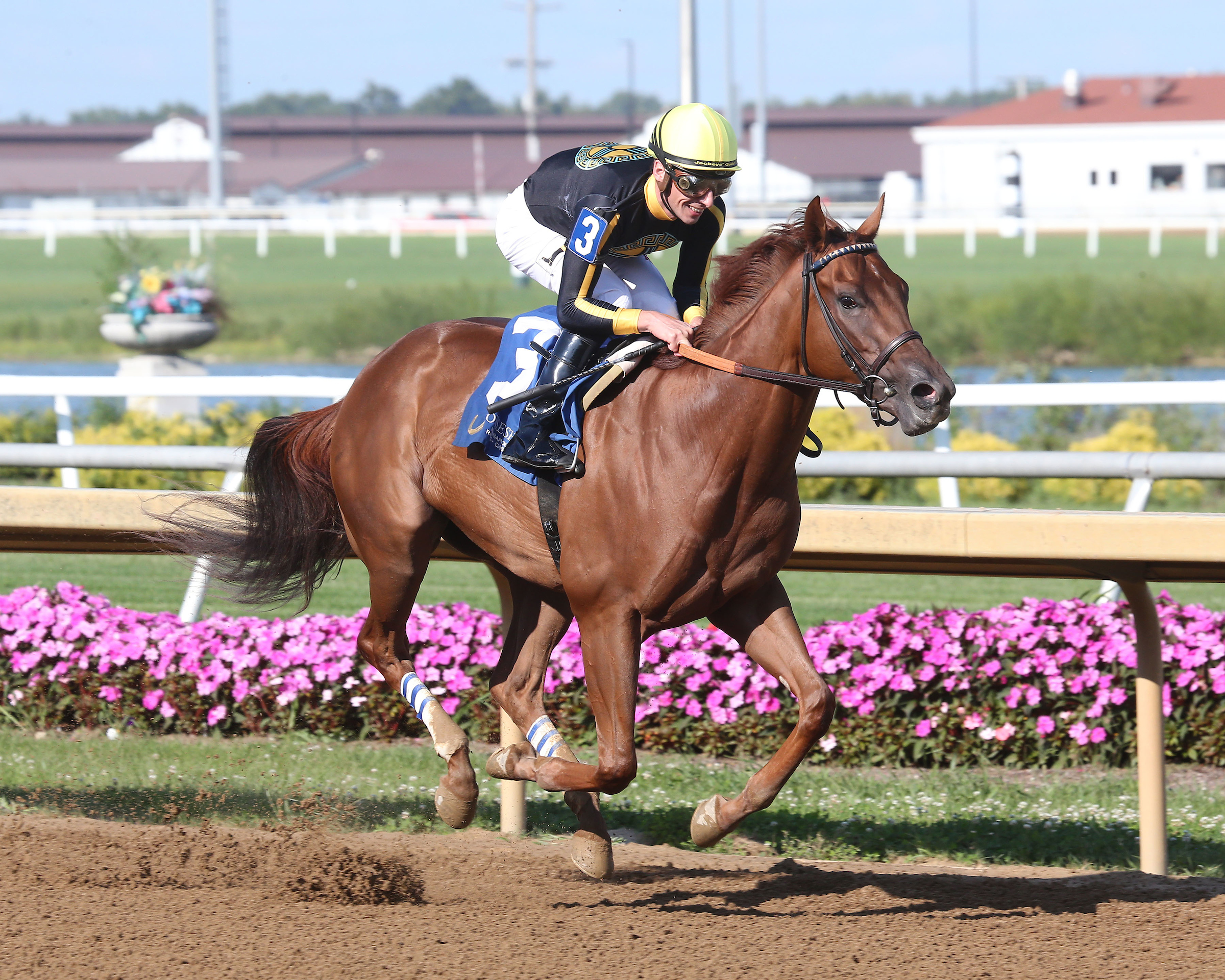 Eighteen Horses Supplemented to Keeneland April Selected Horses of ...