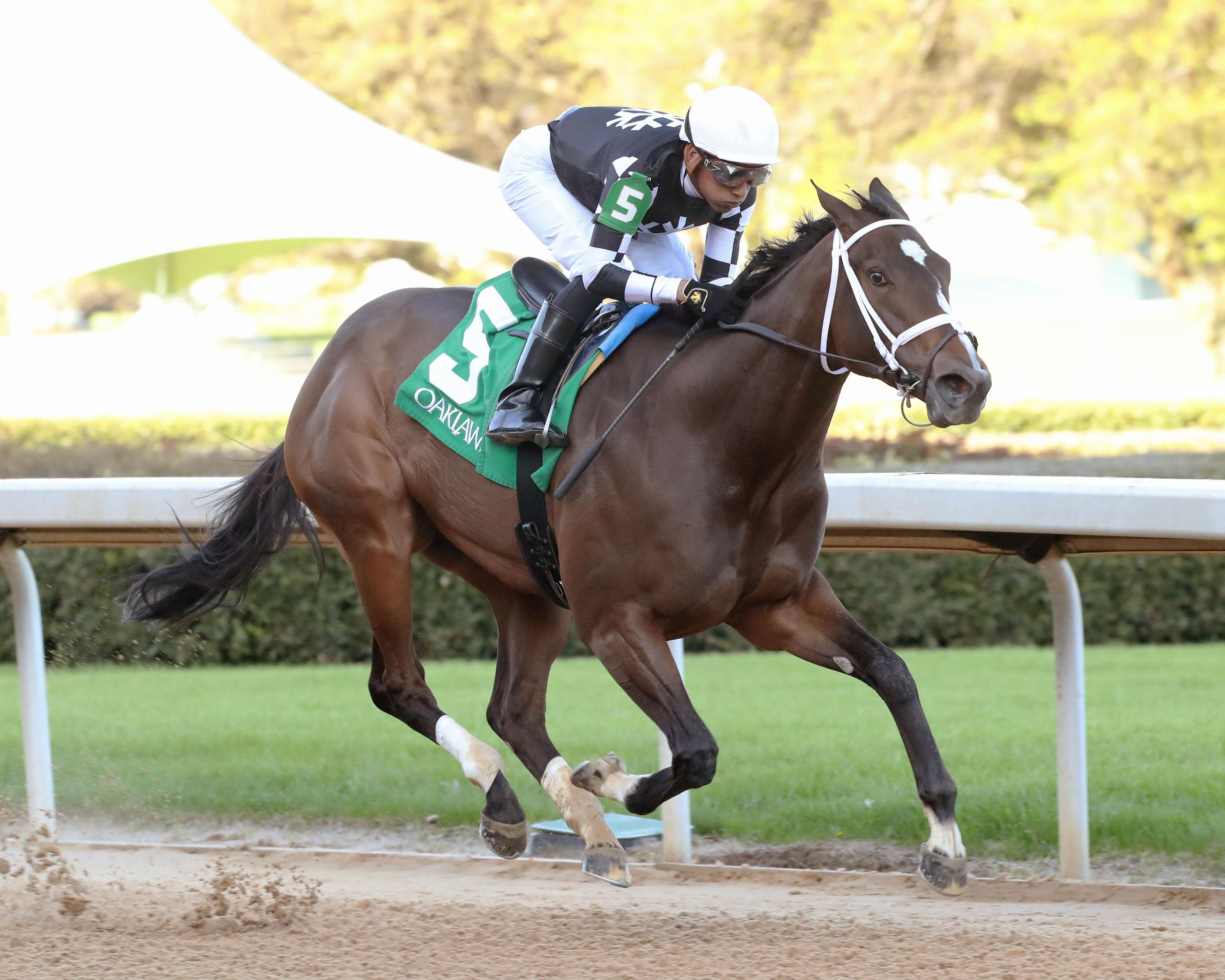 Key of Life Never Headed in $150K Purple Martin - Past The Wire