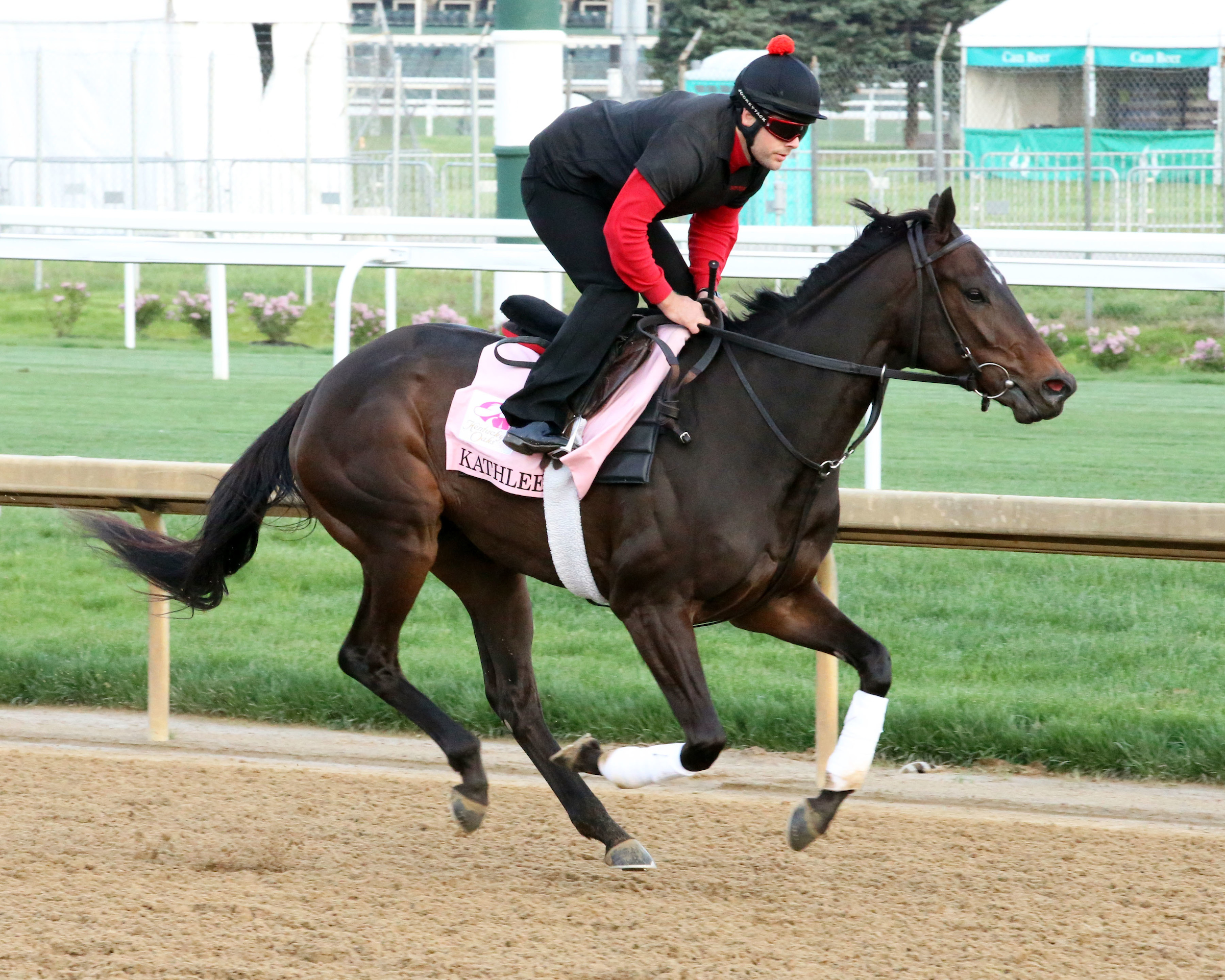 Dual Graded Stakes Winner Kathleen O. Looks to Rebound in G2 Ruffian ...