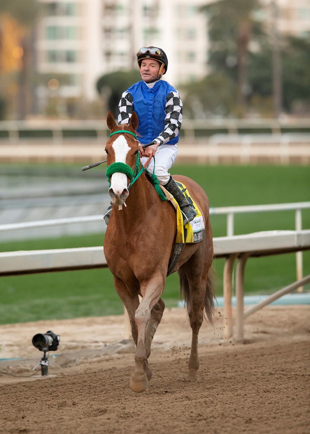 Mandatory Payout In Place For Nine - Past The Wire