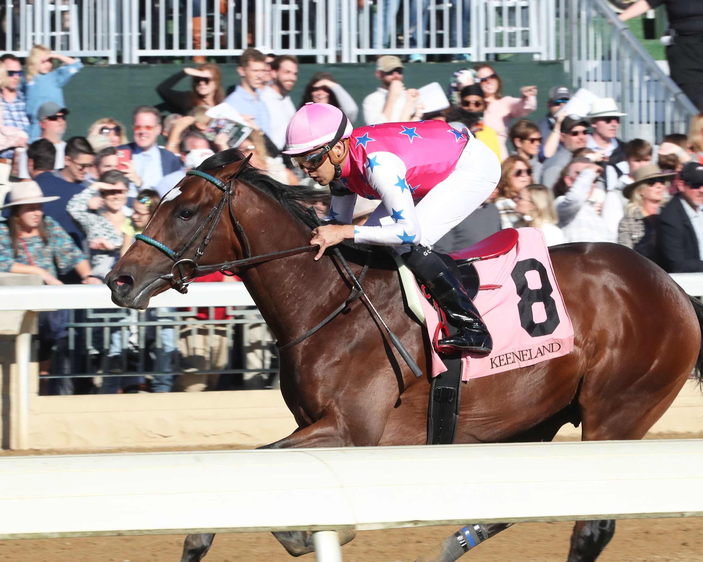 Colebrook Excited for Raise Cain’s G3 Gotham Try - Past The Wire