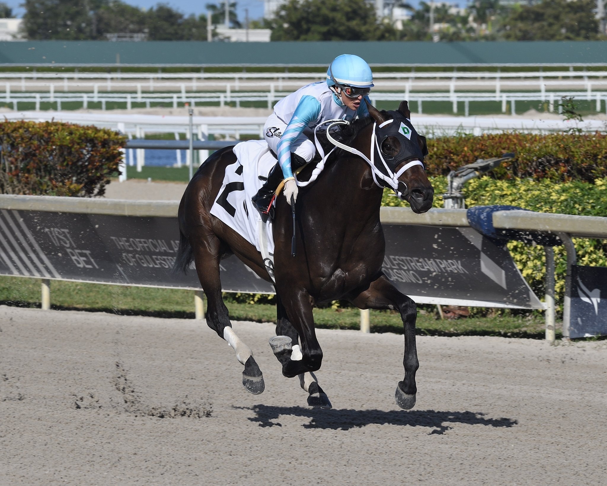 Super Chow Returns to Six Furlongs in $100K Hutcheson - Past The Wire