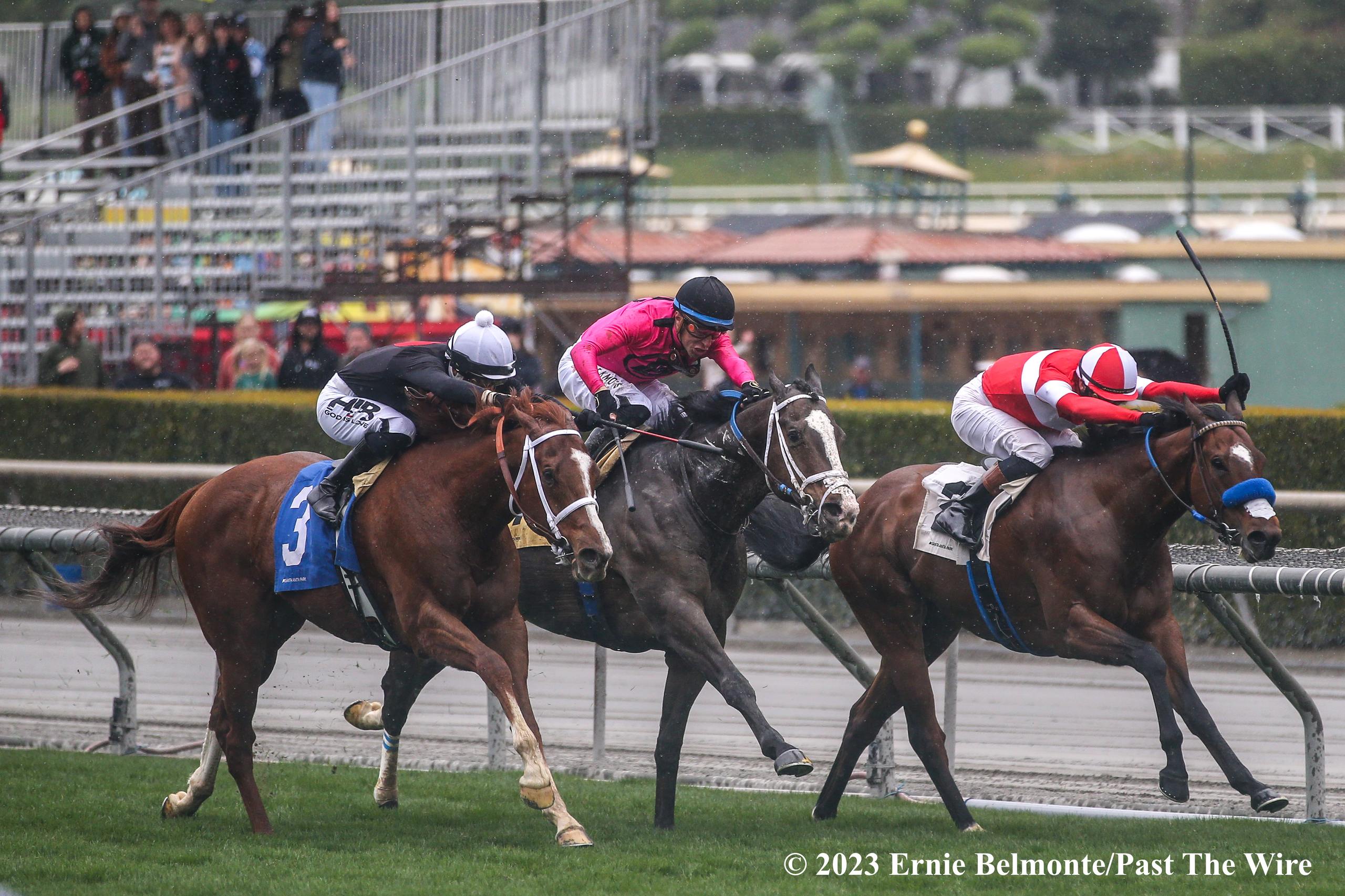 The Chosen Vron Noses Sensational Star Victory - Past The Wire