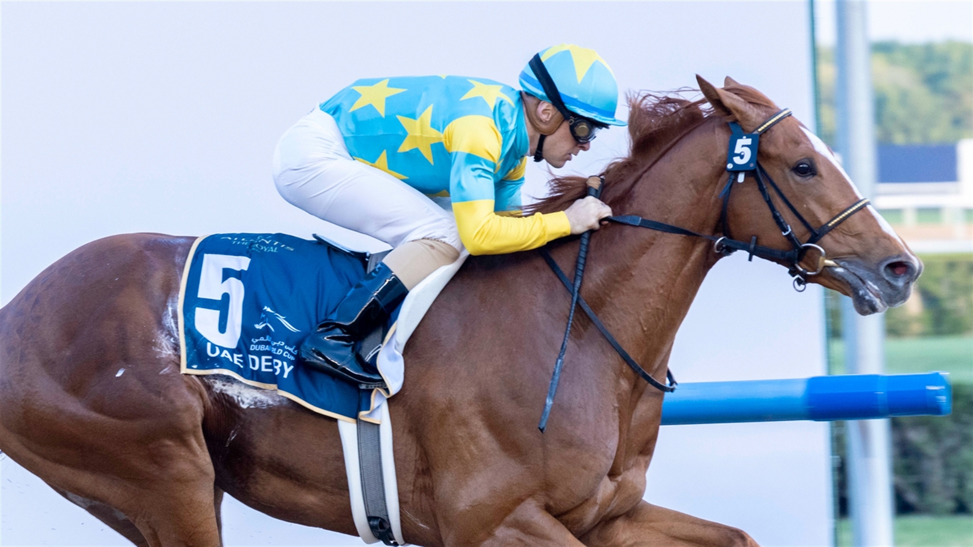 Japan’s Derma Sotogake Headed to Kentucky After UAE Derby Score - Past ...