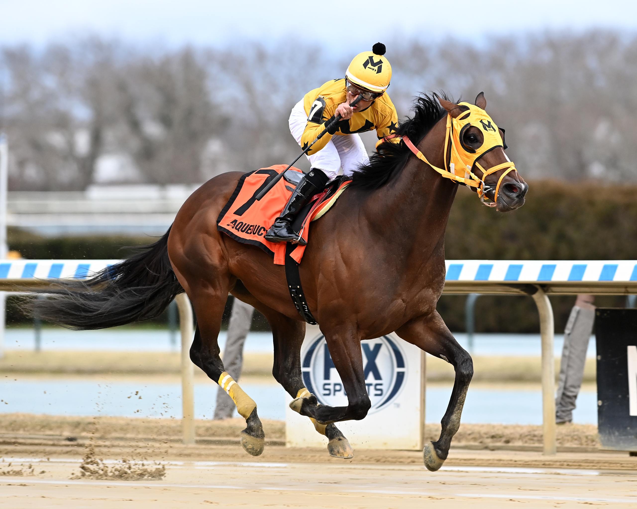 Little Vic Stalks and Scores in G3 Tom Fool - Past The Wire