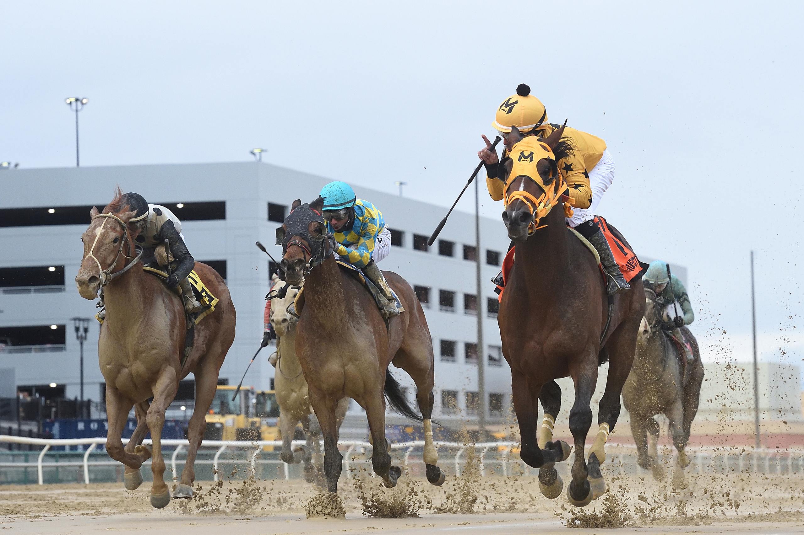 Little Vic Registers Career-best 102 Beyer in G3 Tom Fool Handicap ...