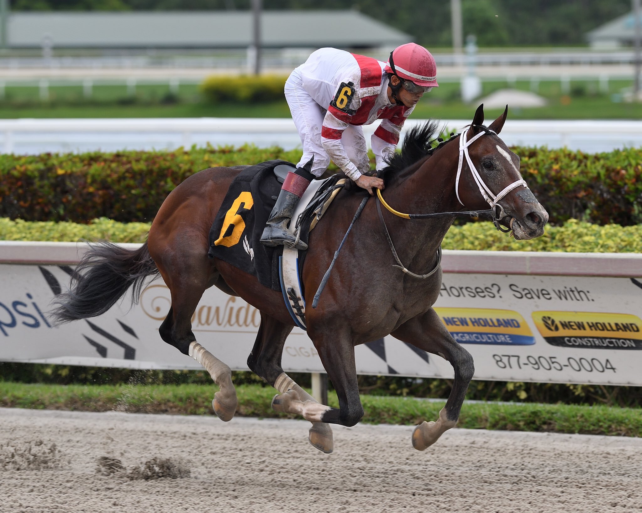 Lord Miles Targets Wood Memorial, White Abarrio Preps for Carter - Past ...