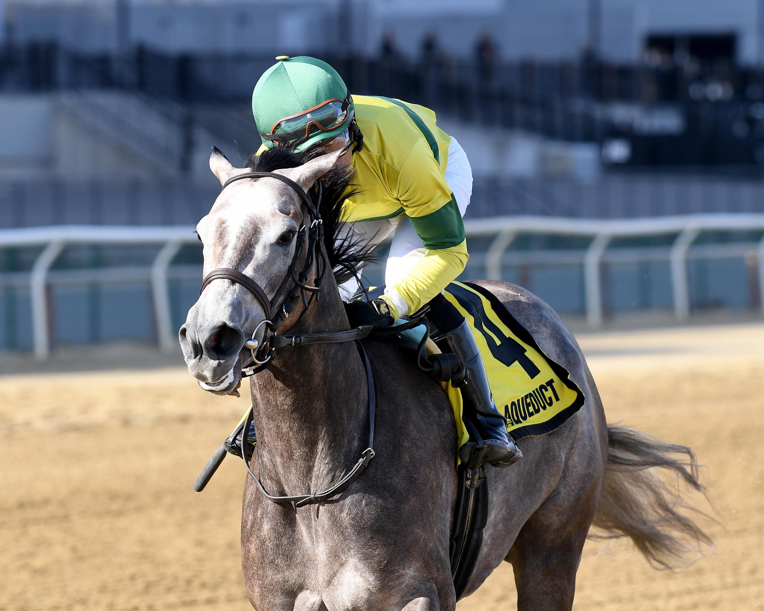 Maple Leaf Mel Returns With Dominant Victory in $100K East View - Past ...