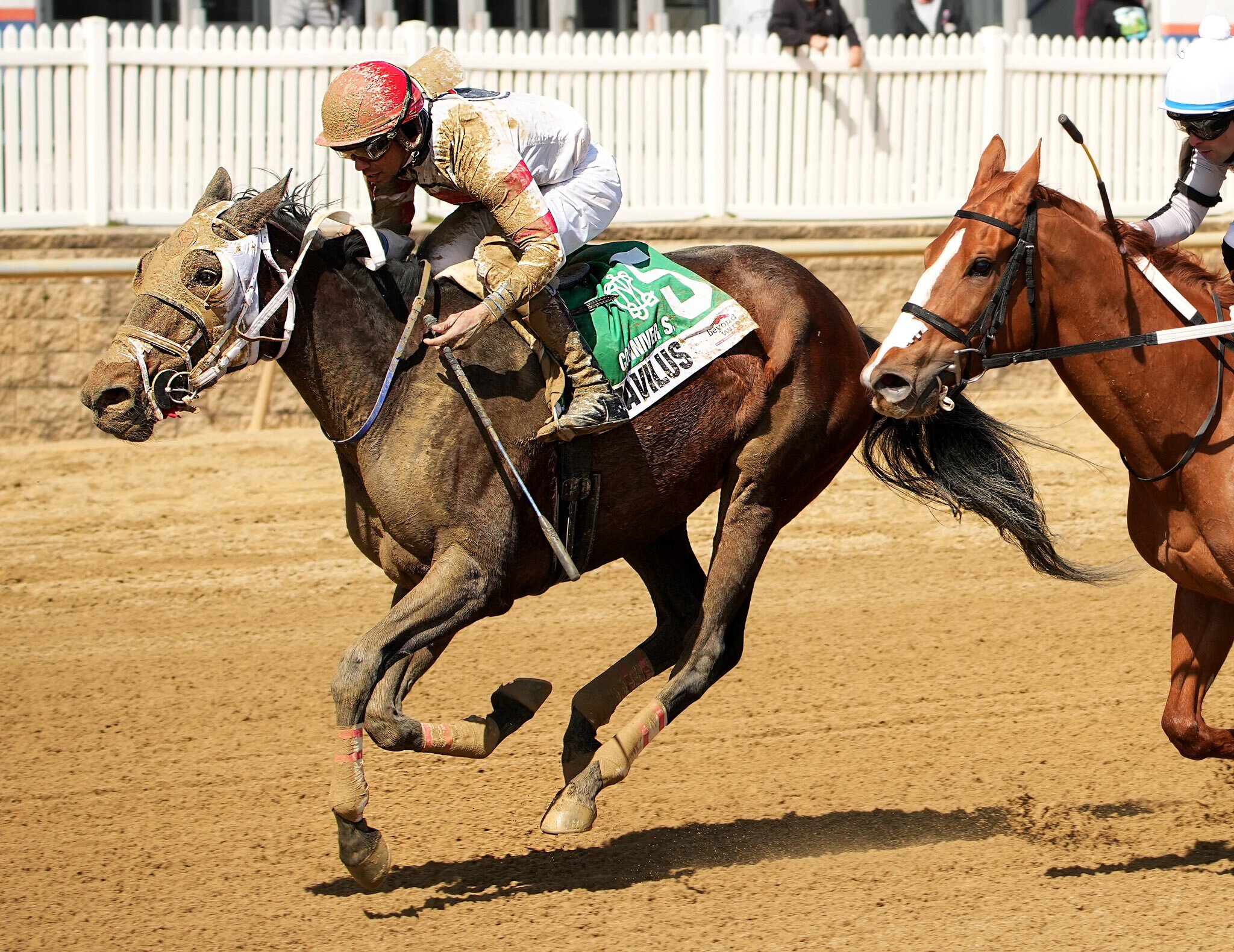 Red-hot Jaime Rodriguez Guides 26-1 Mavilus to $75K Conniver Victory ...