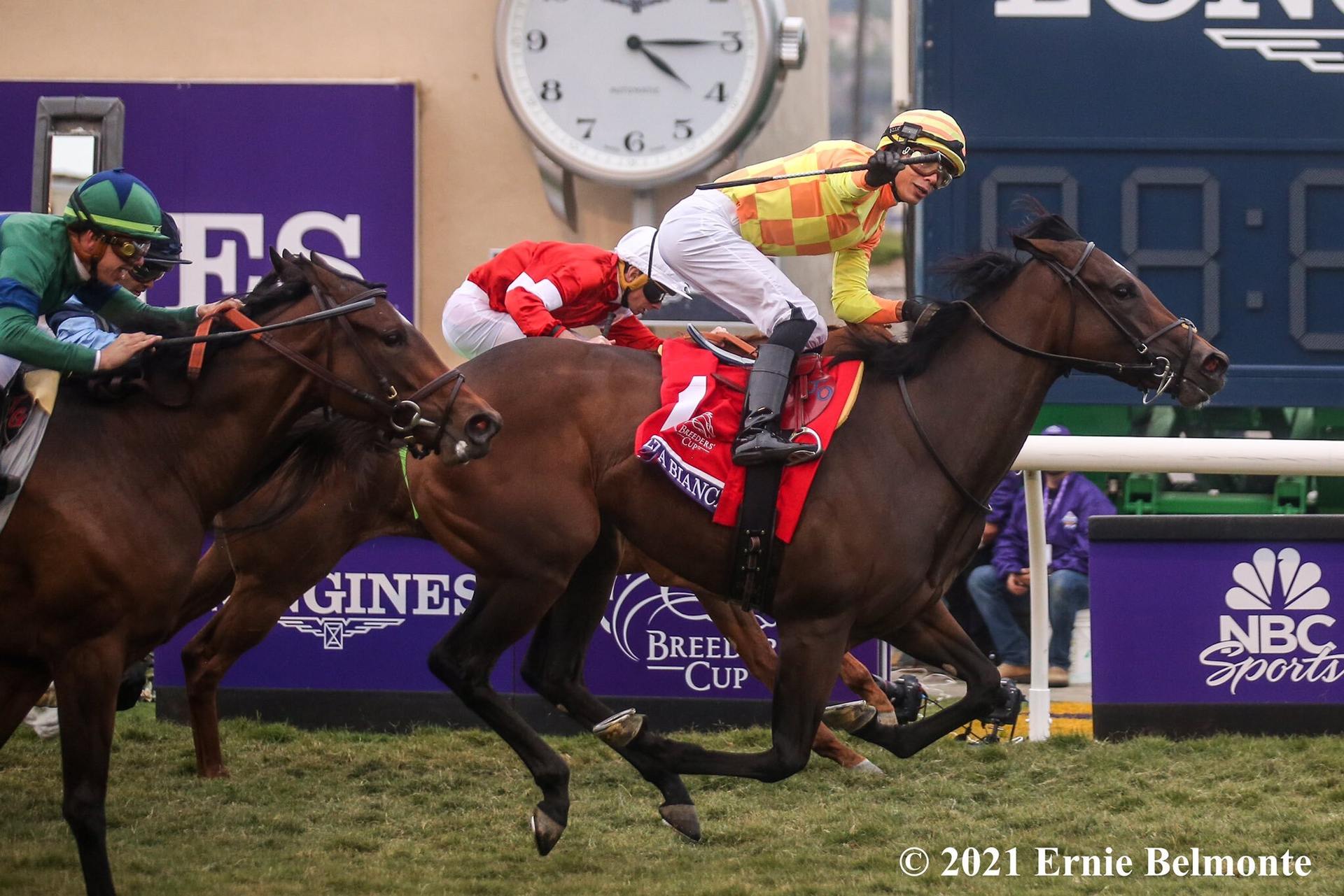 In Italian Makes 2023 Debut in Talent-packed G1 Jenny Wiley - Past The Wire