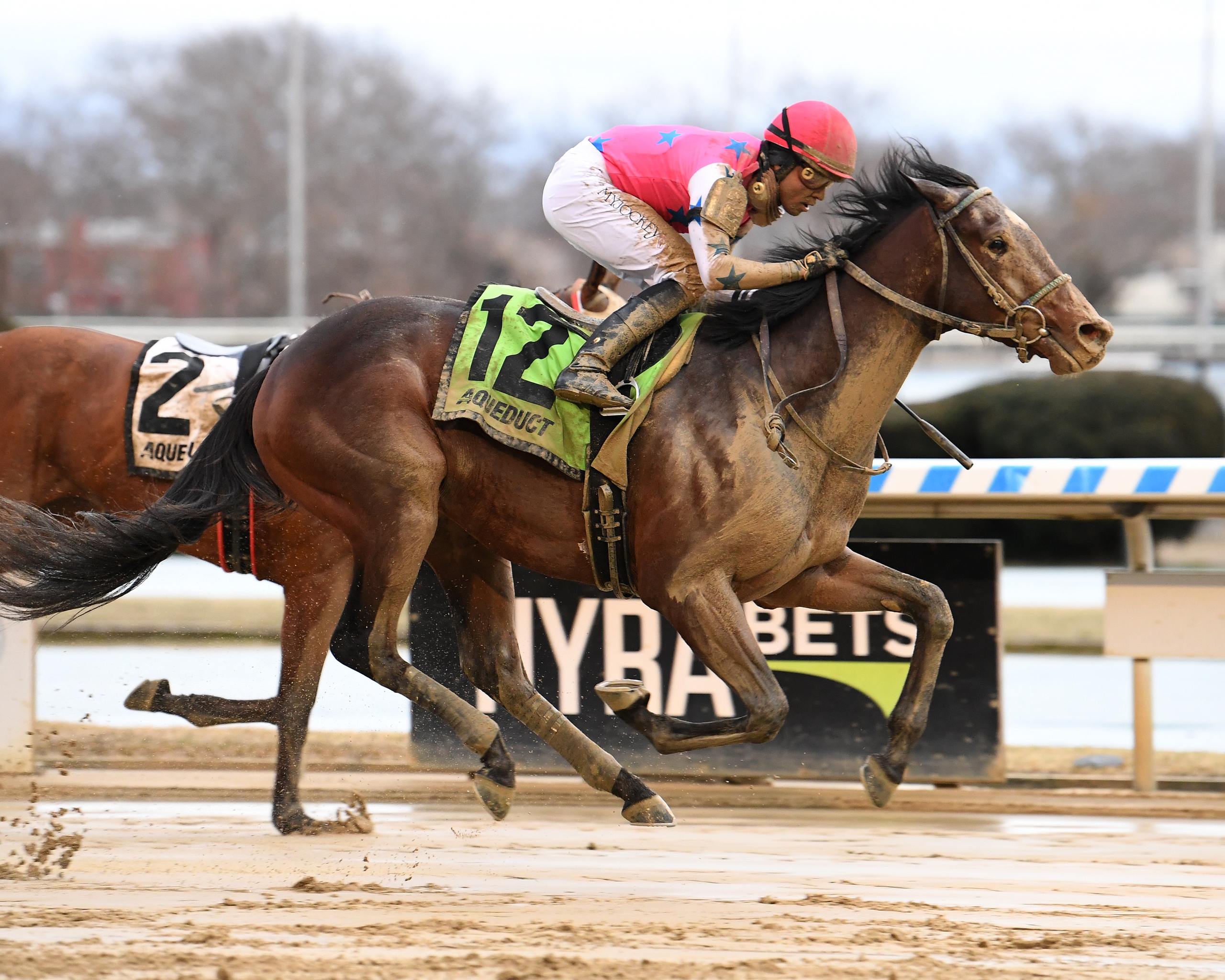 Raise Cain Opens up Strong in G3 Gotham - Past The Wire